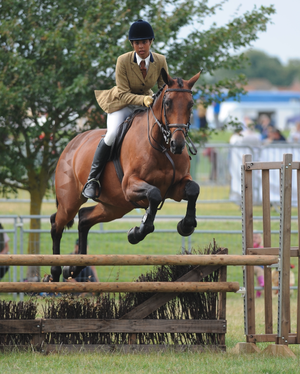 Up your game in working hunter classes with this advice from showing ...