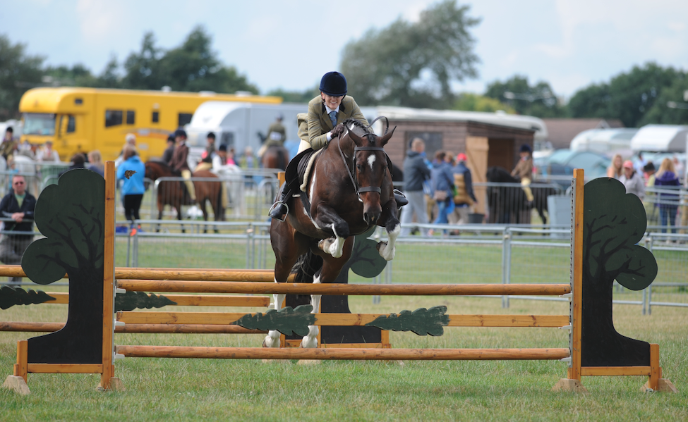 Up your game in working hunter classes with this advice from showing ...