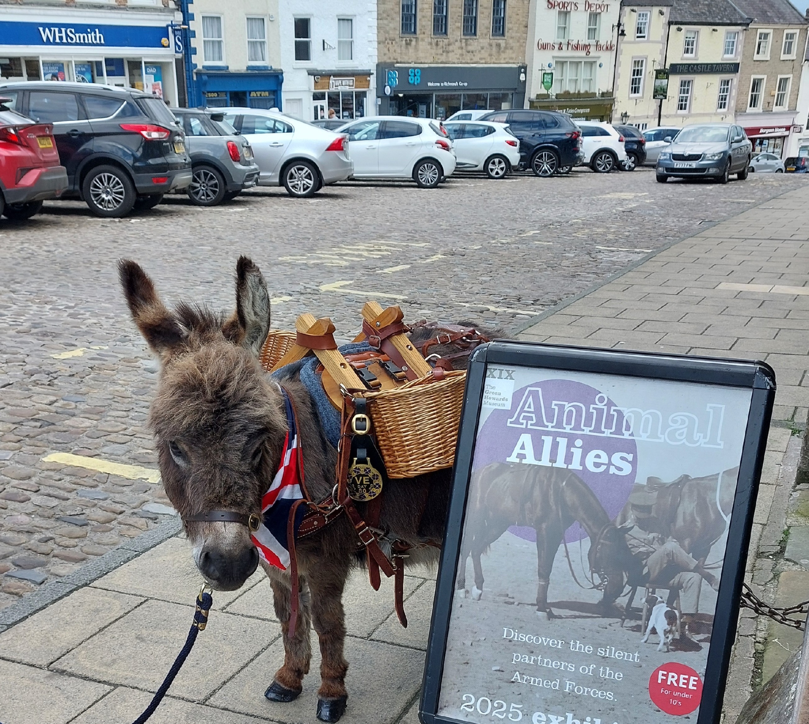 Donkeys on hand to support Yorkshire museum exhibition - Your Horse