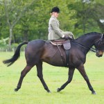 how do side saddles work