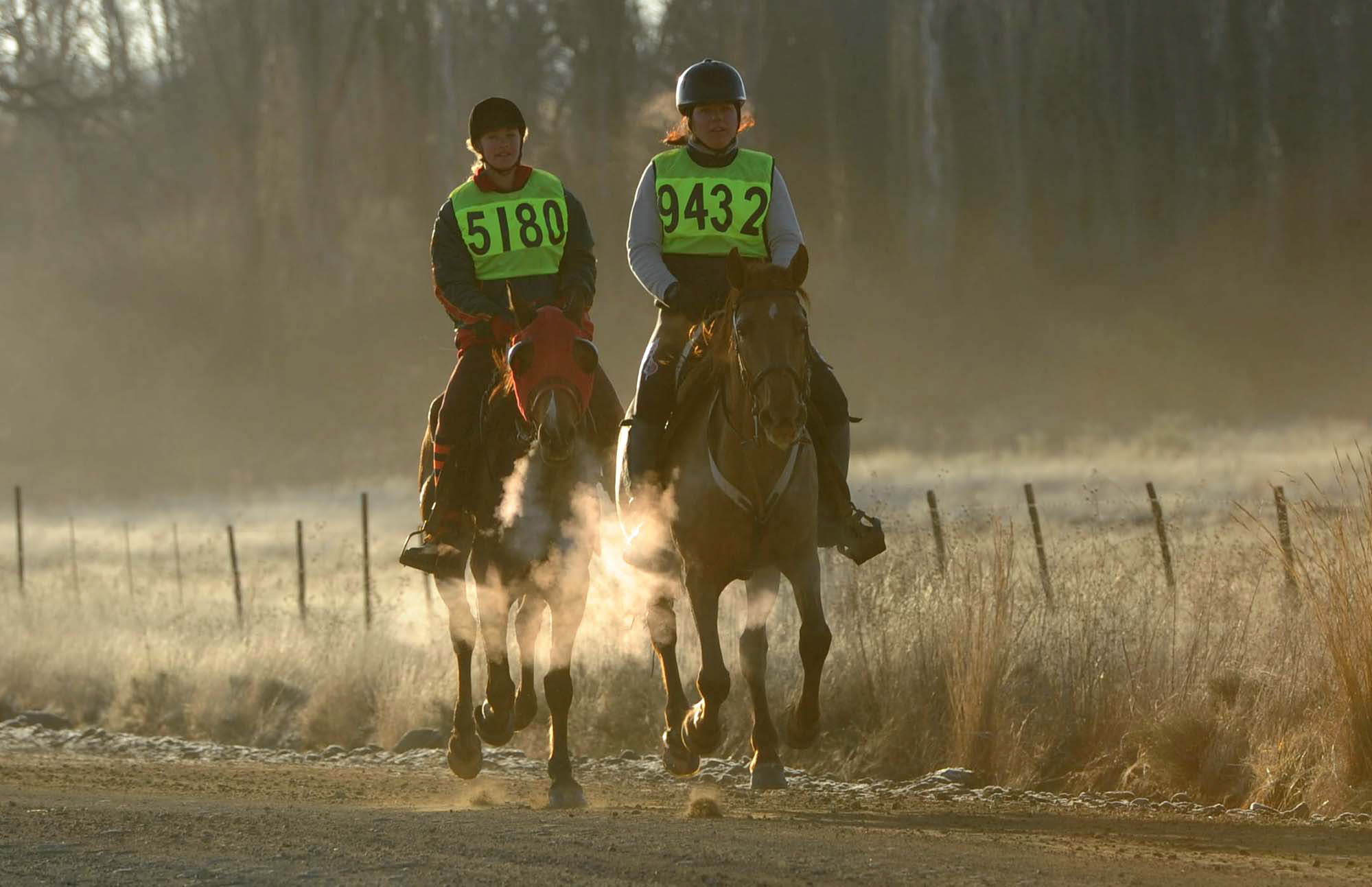 Pacing explained: how to do it for endurance and pleasure rides - Your ...