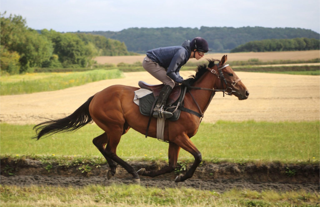Racehorse ownership available from as little as £25, thanks to ...