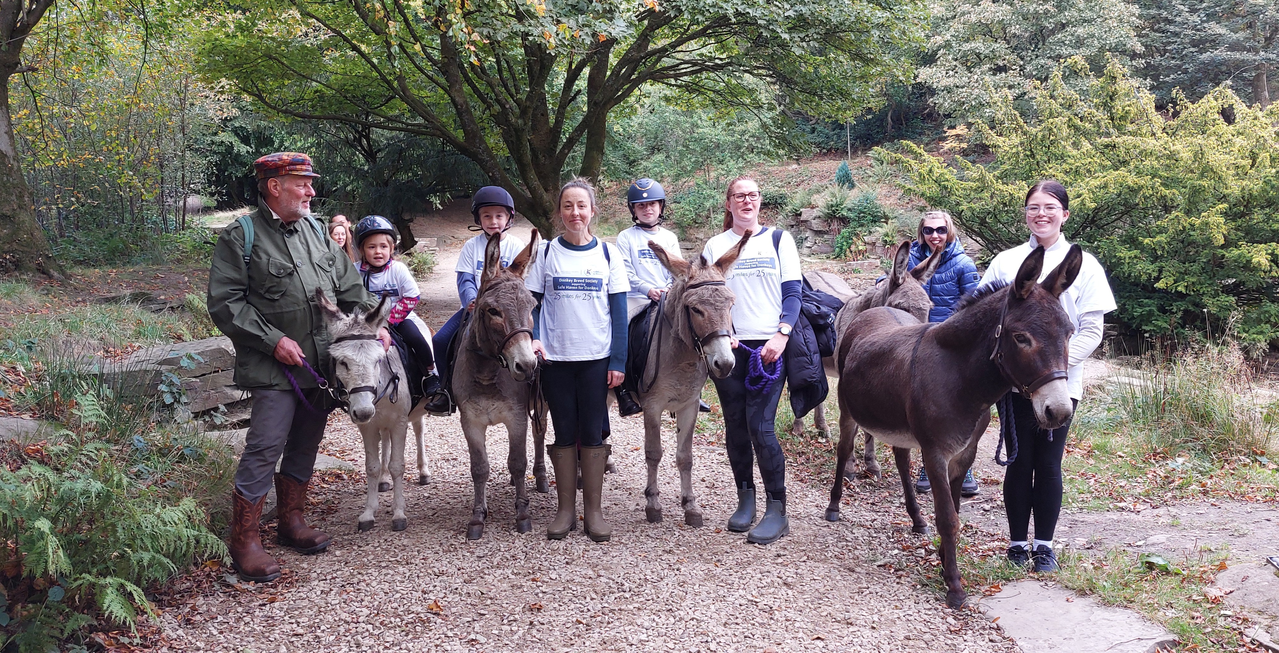Walk, run, cycle or swim to raise vital funds for suffering donkeys ...