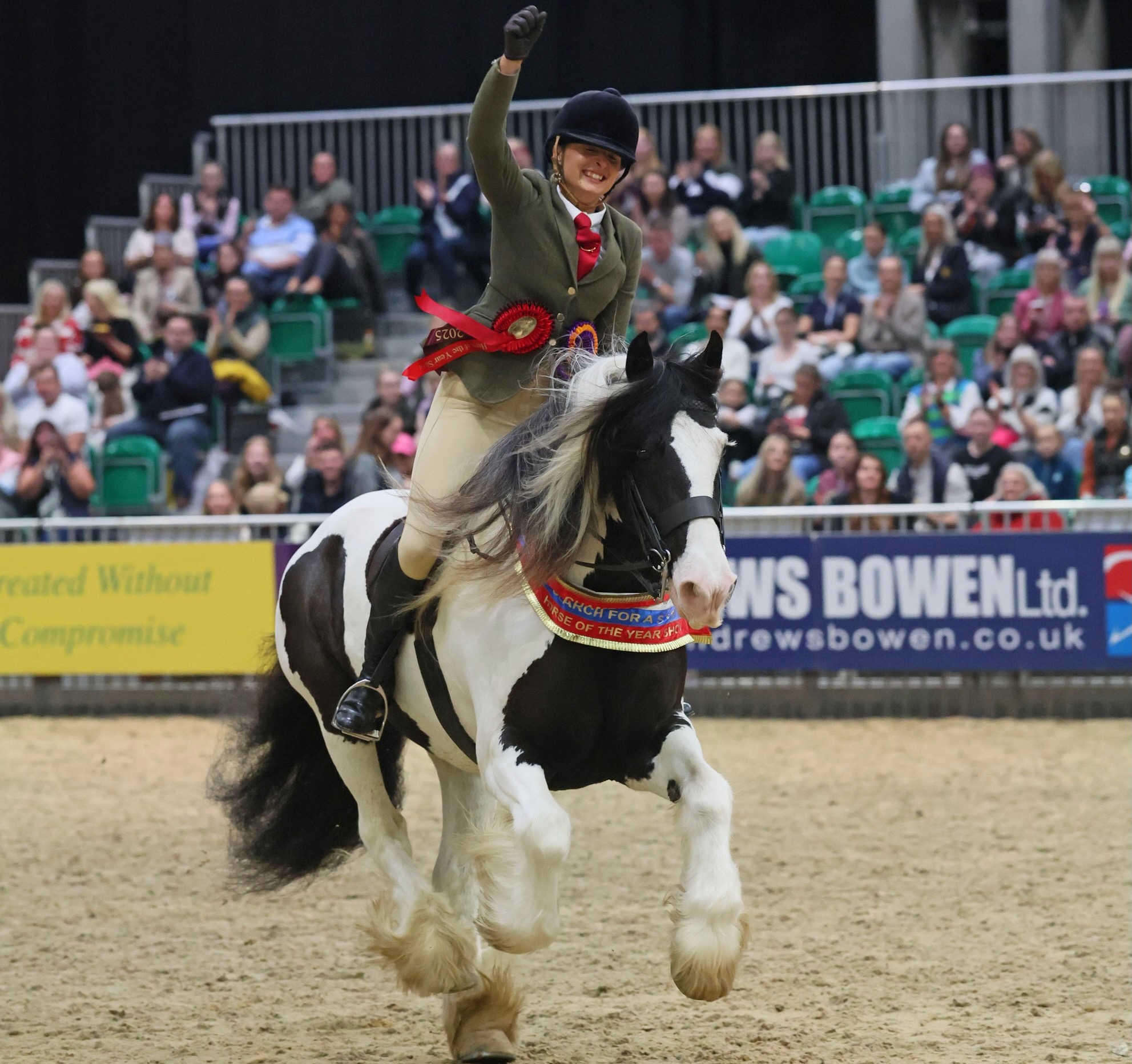 Traditional cob bought for under £100 wins at Horse of the Year Show ...