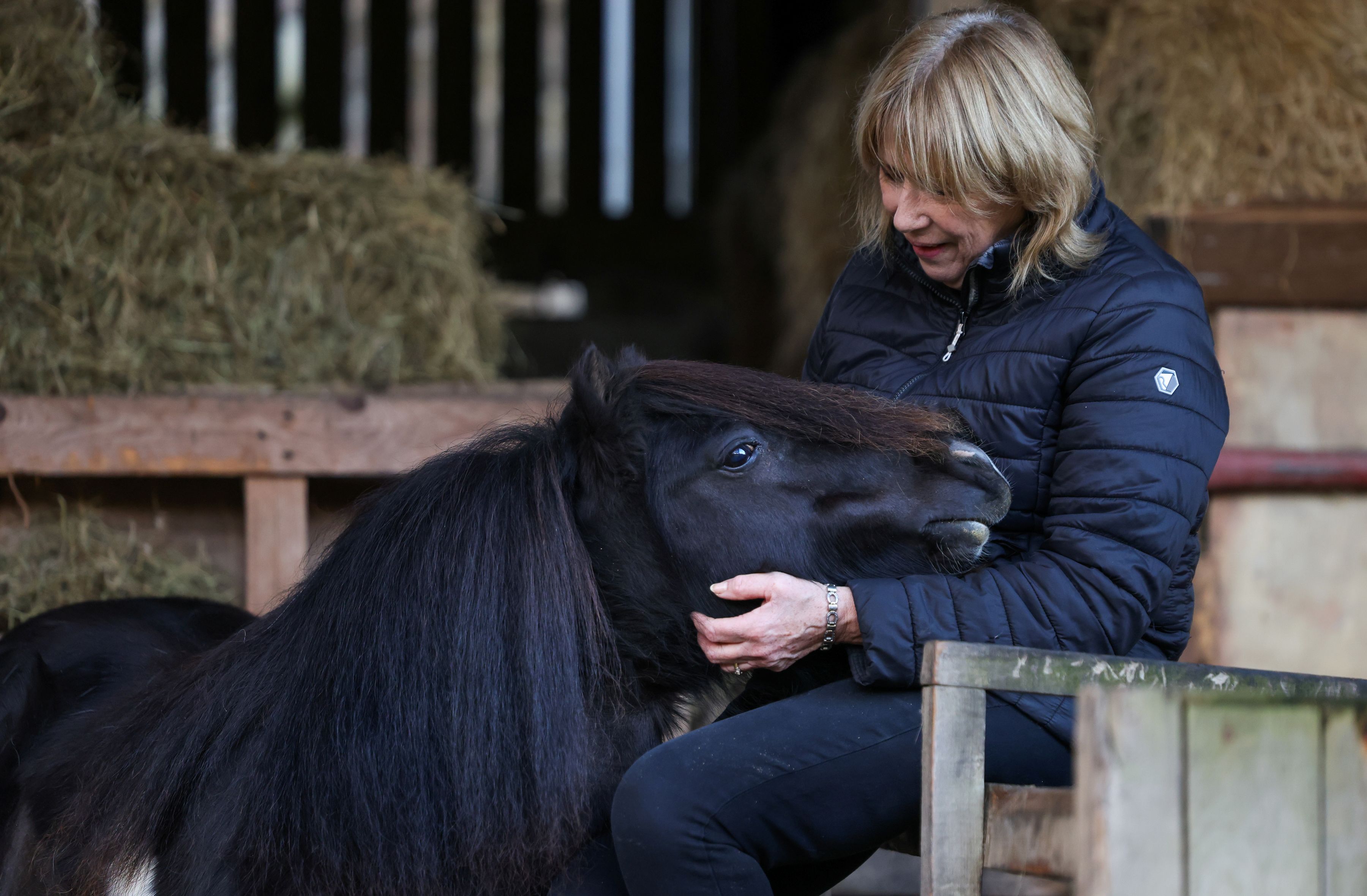 ‘Miracle’ after mare and her unborn foal survive life-threatening ...