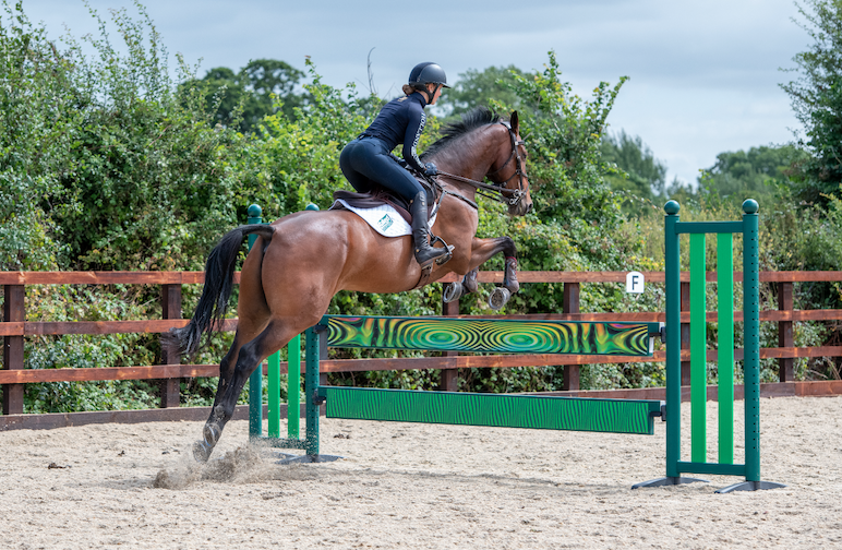 Long reining a horse: technique explained and exercises to try - Your Horse