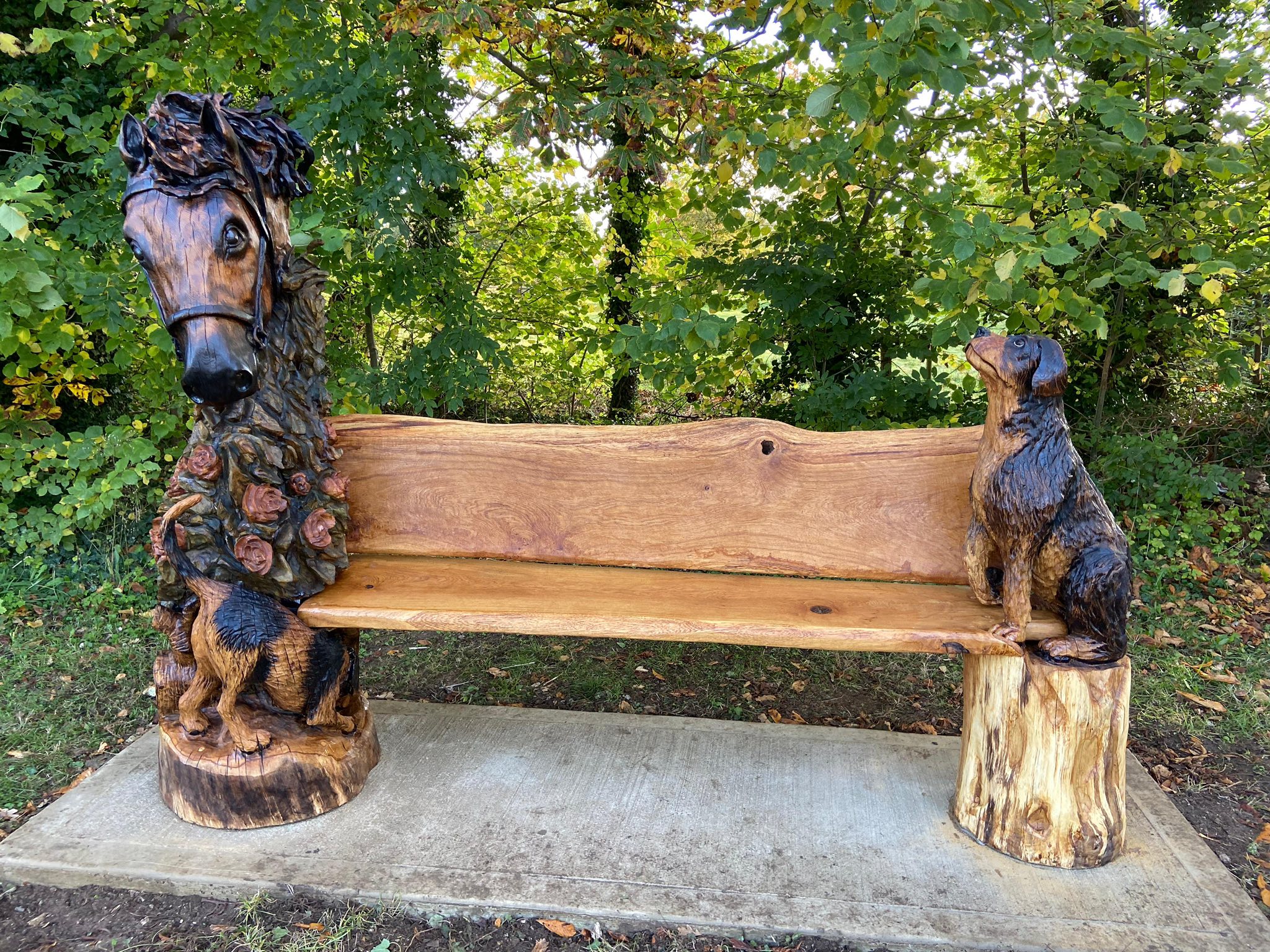 Appeal launched after thieves take cherished horse bench - Your Horse