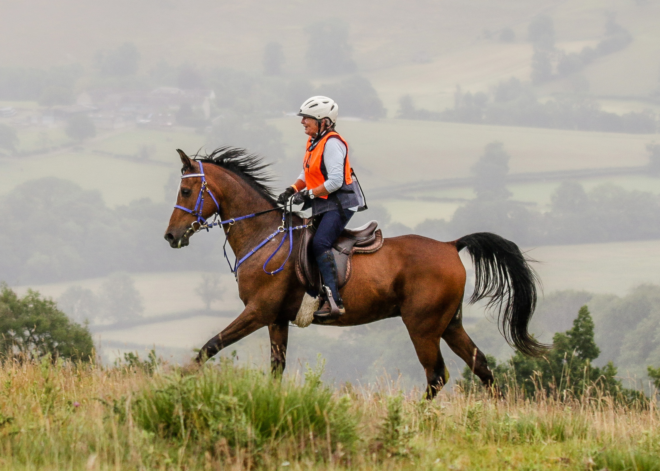 'It's been an incredible journey': British endurance rider passes 20 ...