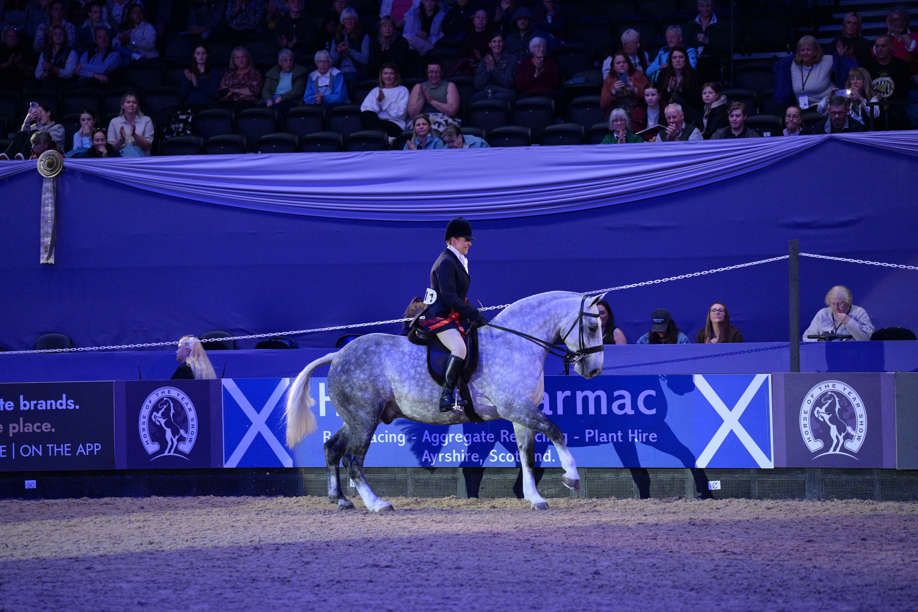 Changes afoot for the 2026 SEIB Search for a Star season - Your Horse