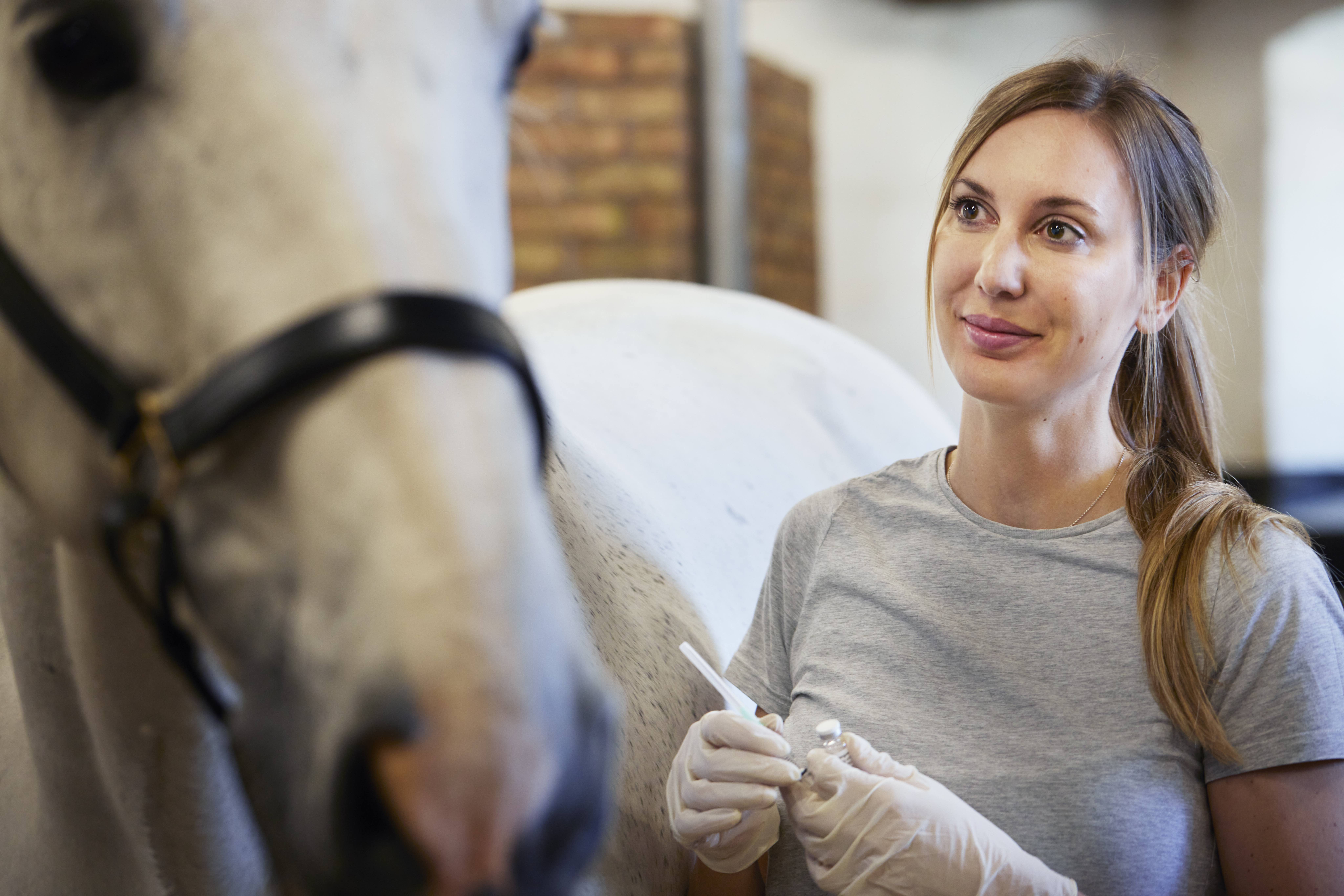 Spike in strangles and flu cases: Experts share 'essential' ways to ...