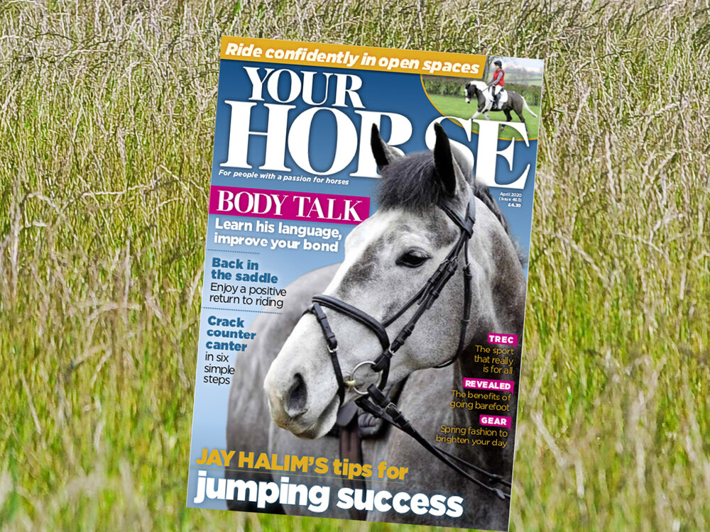 Inside the April Issue of Your Horse Magazine - Your Horse