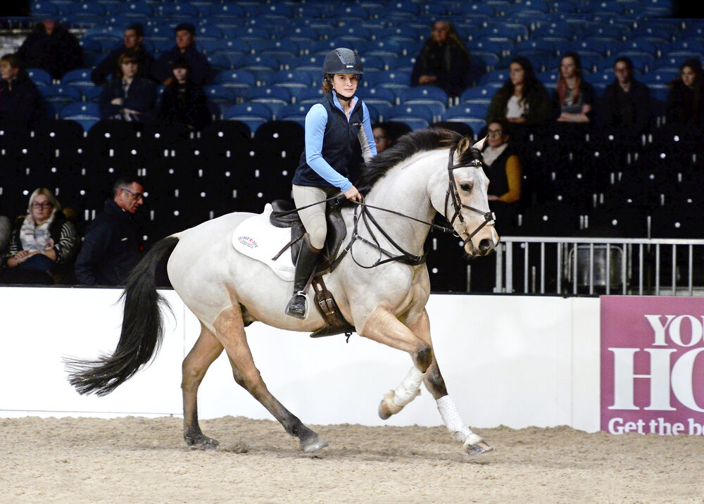 Getting the Flatwork Fundamentals Right - Your Horse