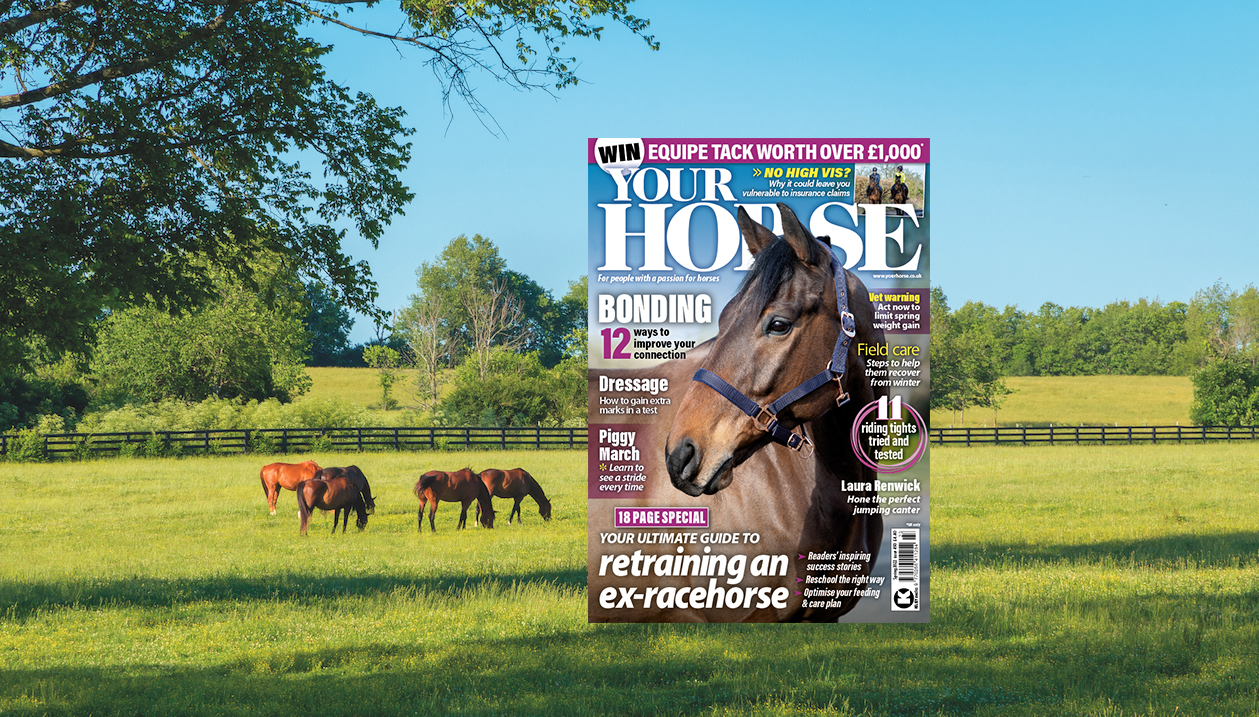 Bonding and ex-racehorse special: inside the Spring issue of Your Horse ...