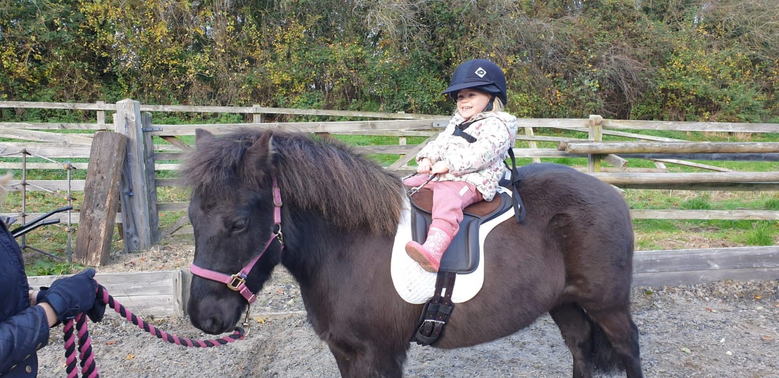 Abandoned, feral mare becomes child's dream pony - Your Horse