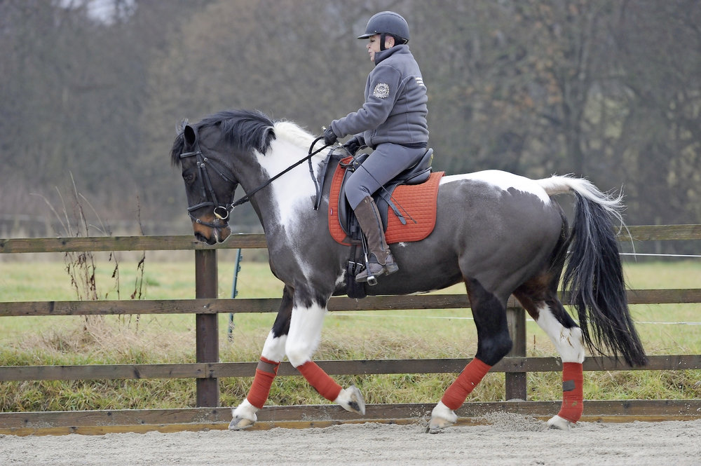 How to Ride Smoother Canter Transitions - Your Horse