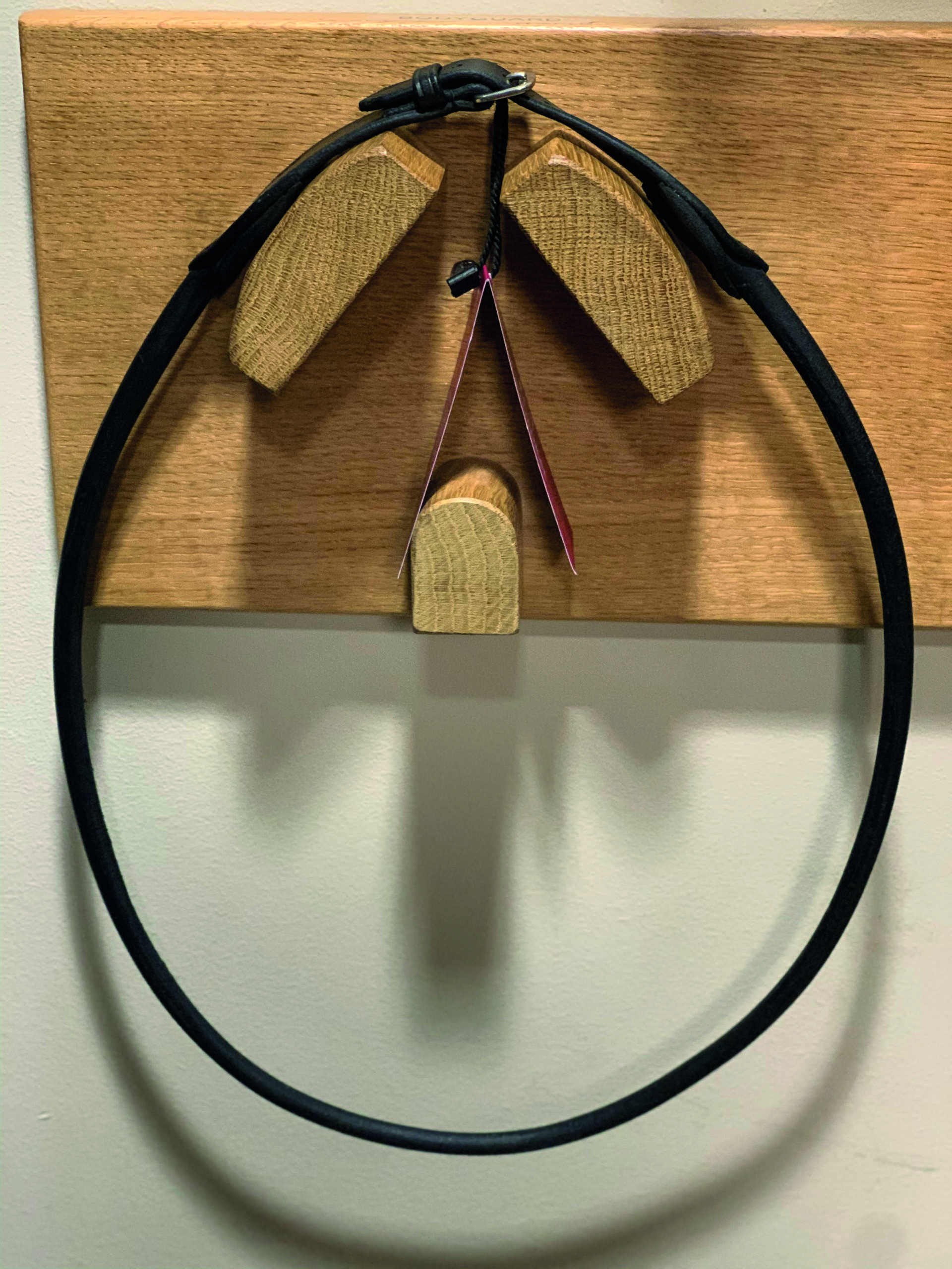 Buying a neck strap: how to choose one and make sure it fits your horse ...