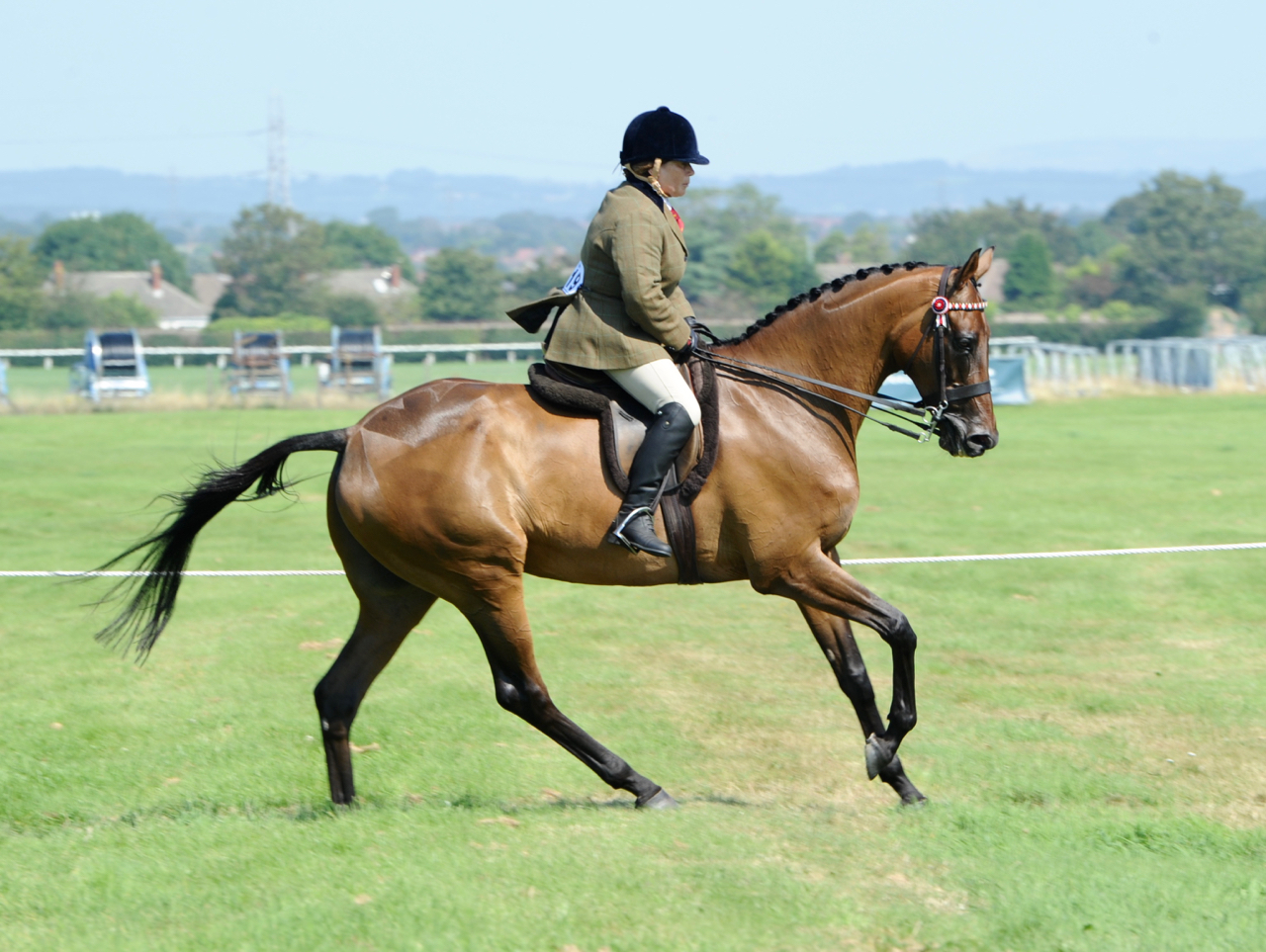Retrained racehorse event promises to inspire across the disciplines ...