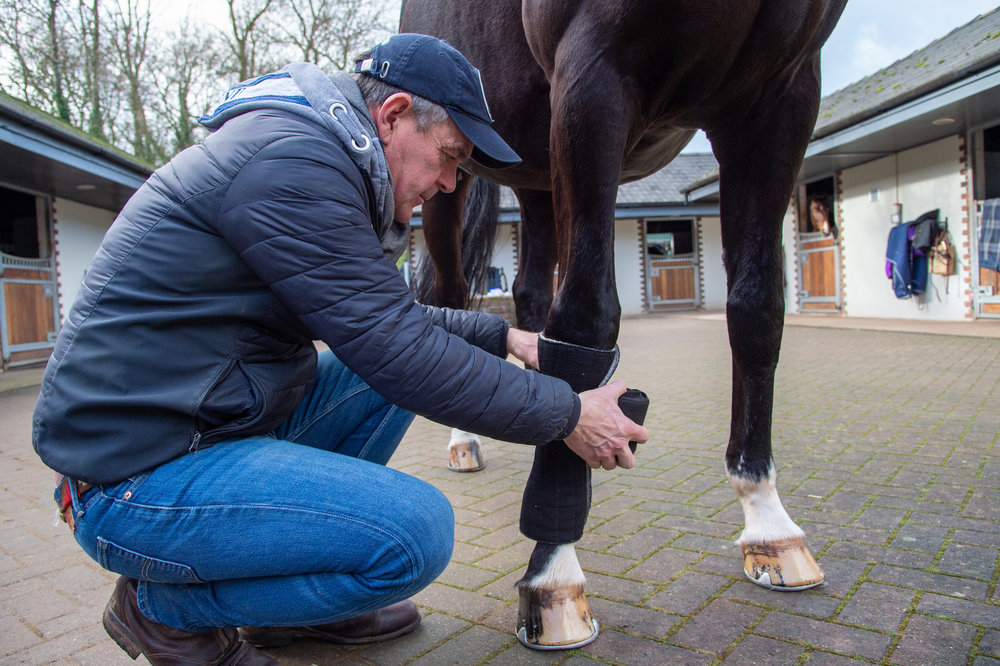 Alan Davies’ Six Steps to Perfect Stable Bandages - Your Horse