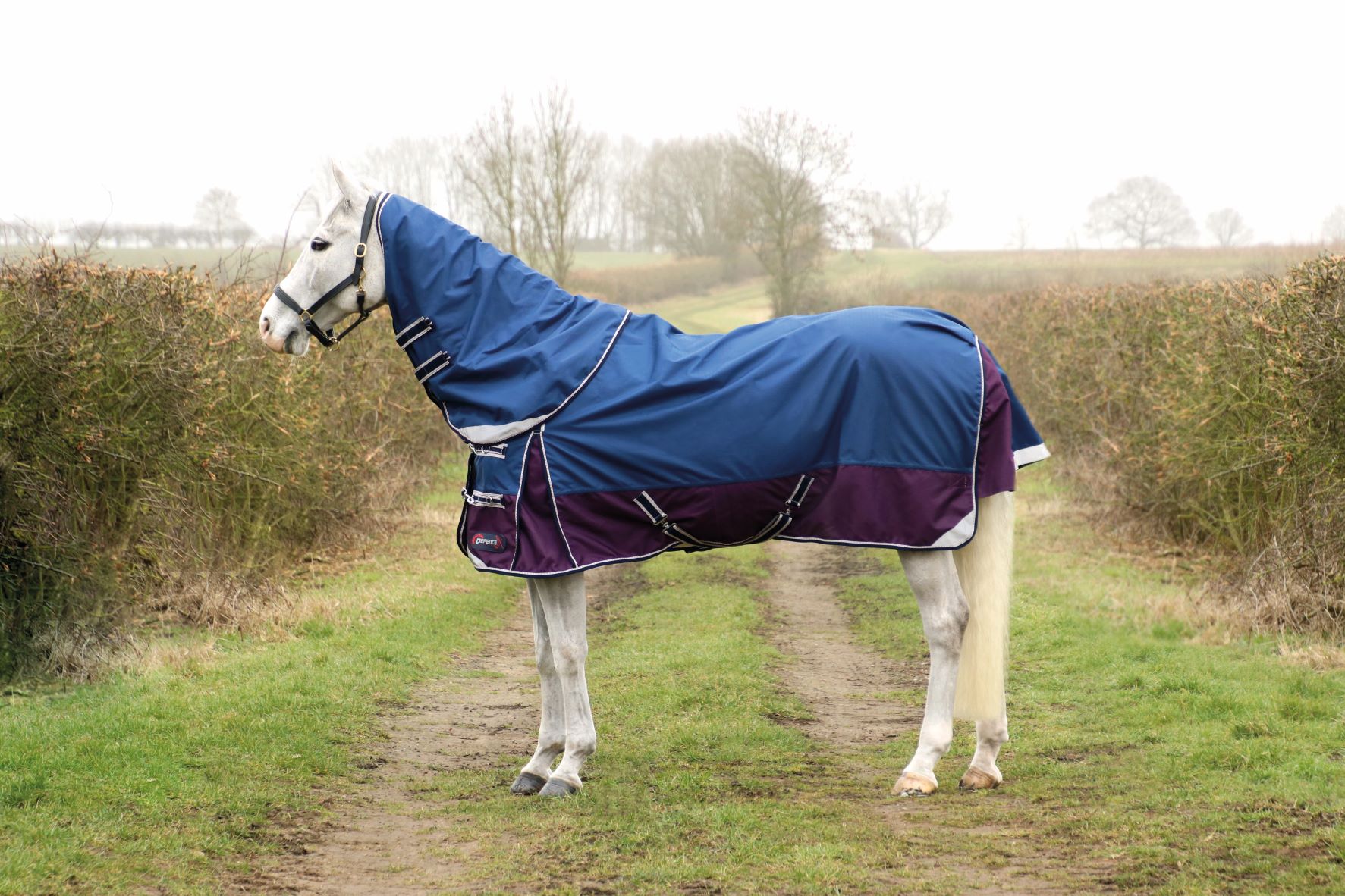 9 lightweight turnout rugs to get your horse ready for autumn - Your Horse