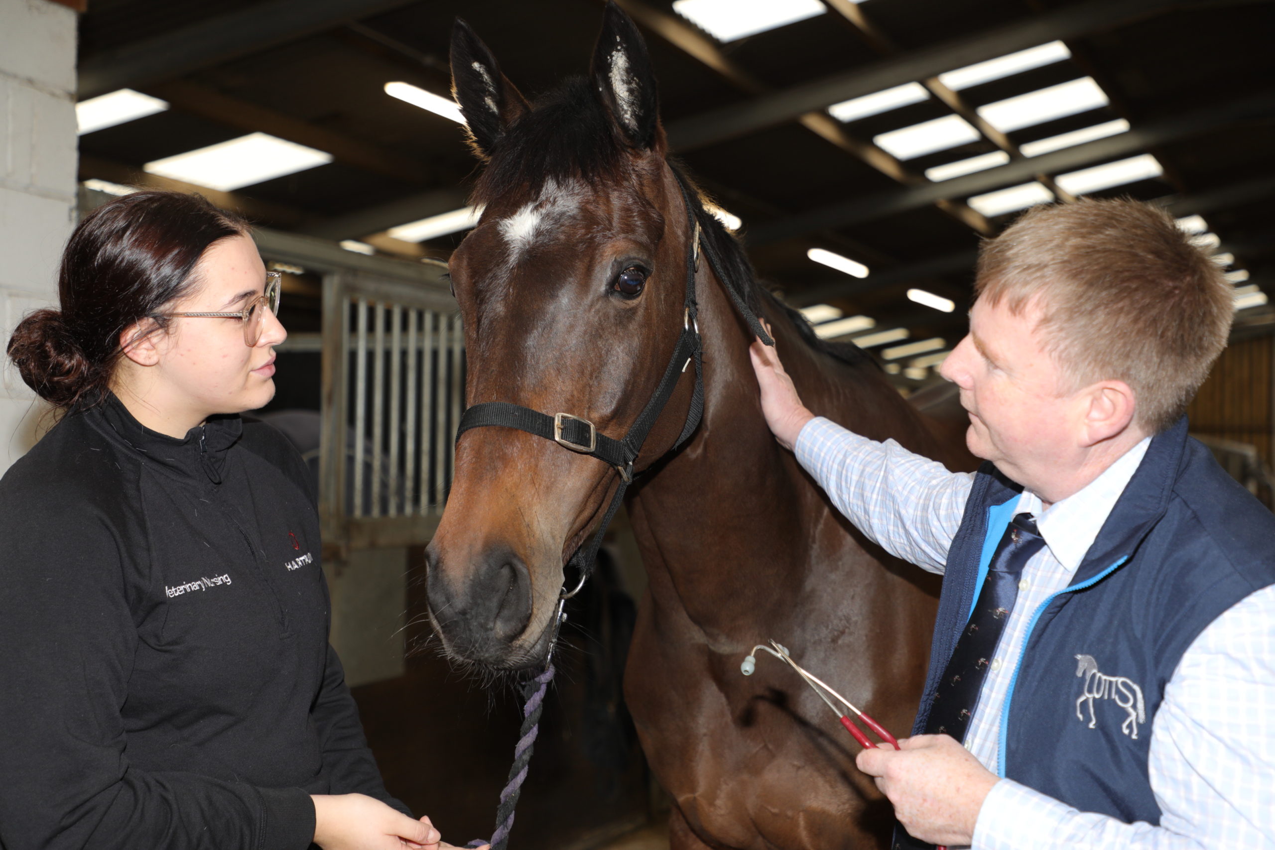 Free vet health clinics for horse owners in Wales - Your Horse