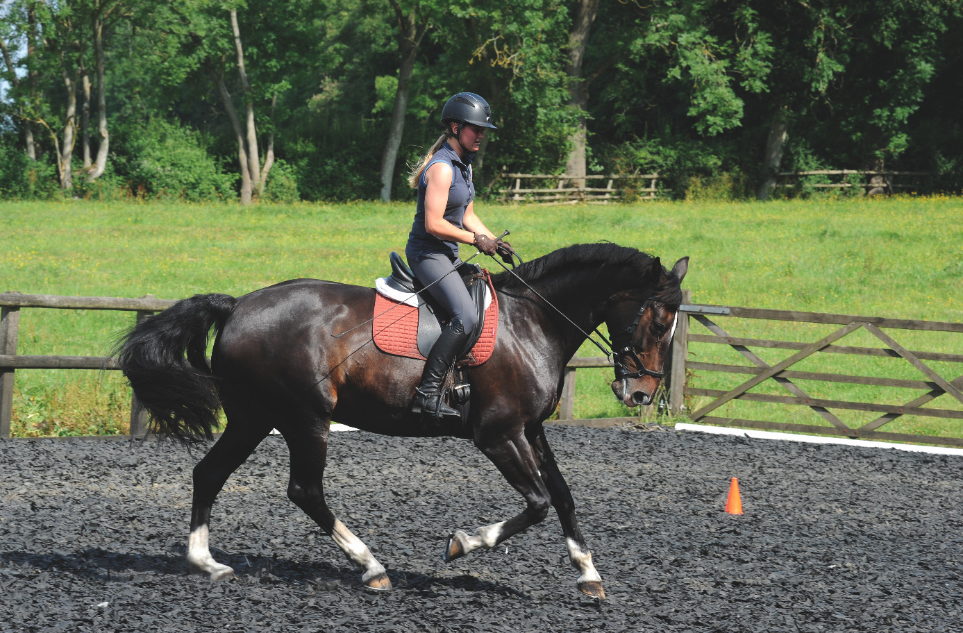 Improve your simple changes with two exercises - Your Horse