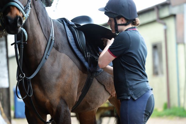 Looking for a new girth? Your Horse puts seven girths to the test ...