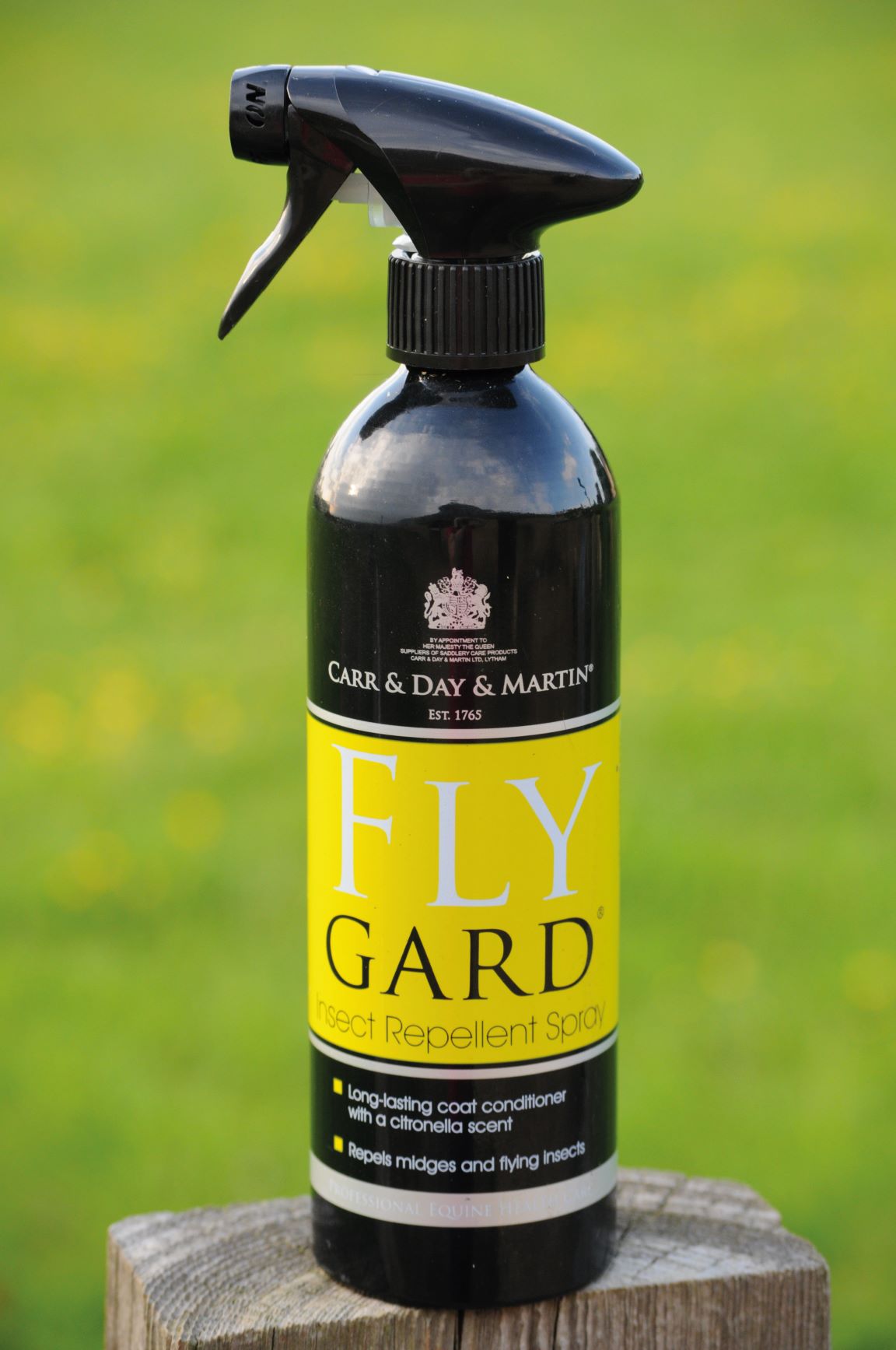 Best fly sprays for horses as tested by our team of owners and riders ...