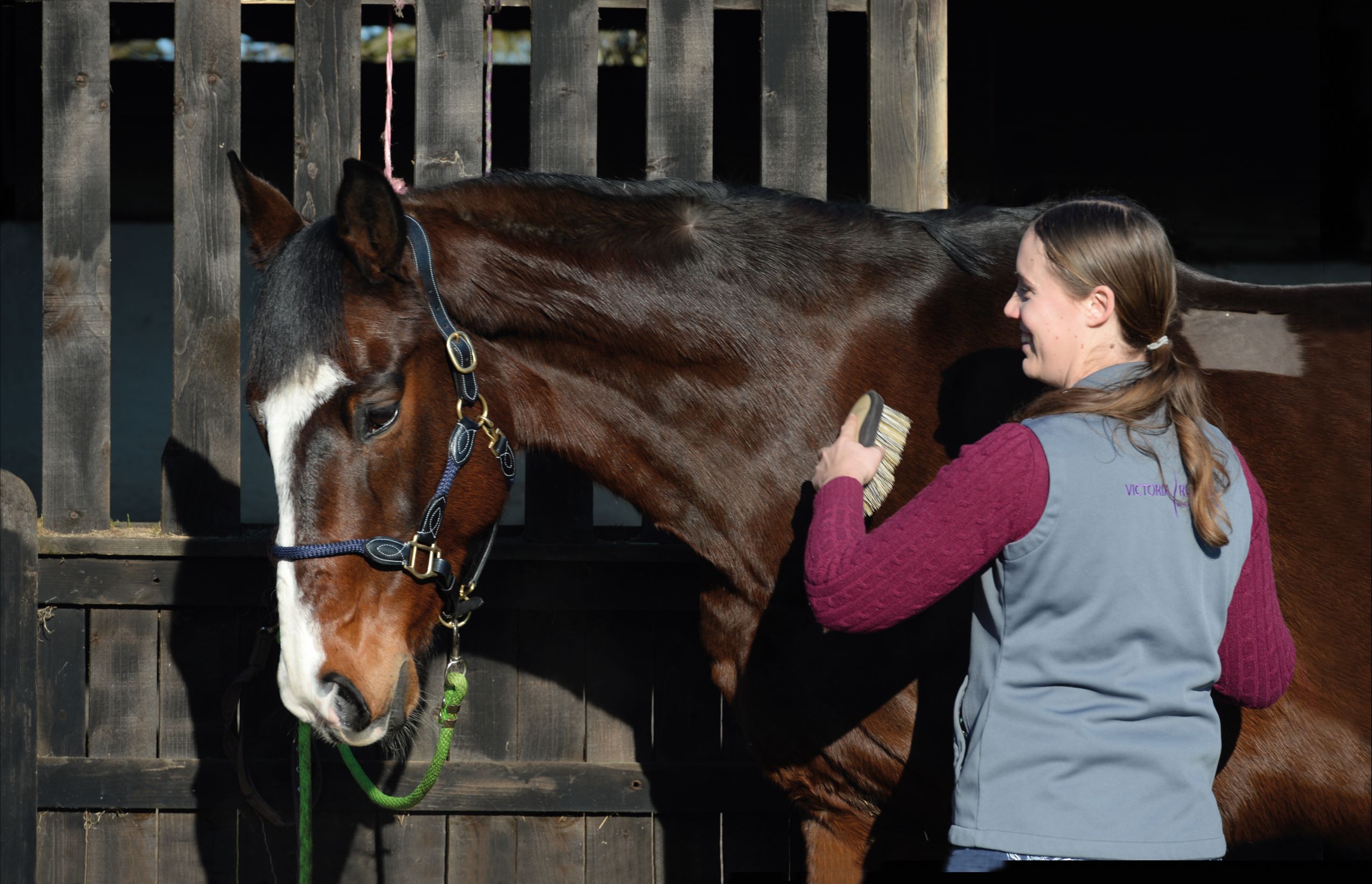 Horse grooming: expert advice for a mud- and dust-free coat that shines ...