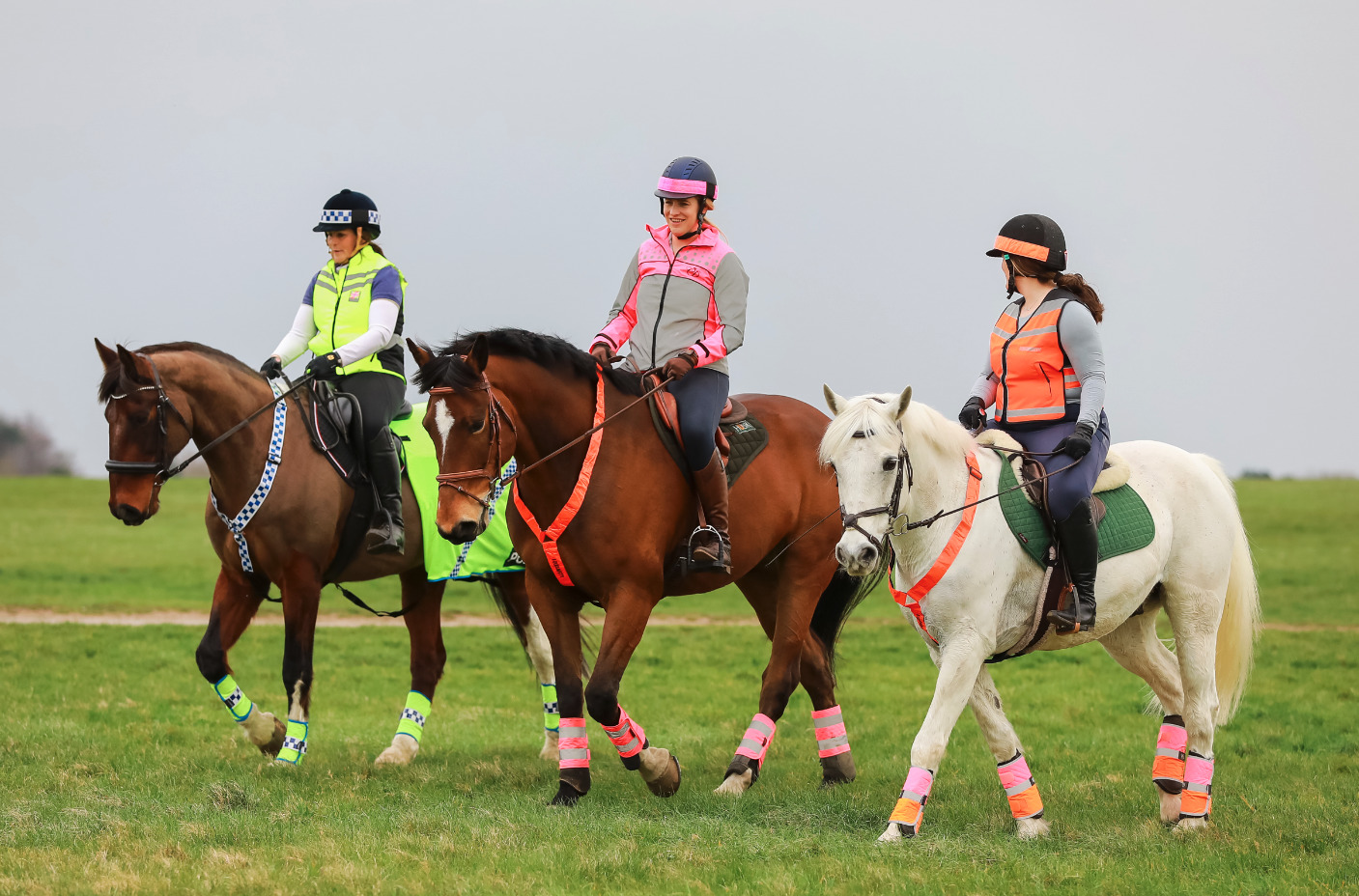 Hack 1000 Miles Archives - Your Horse