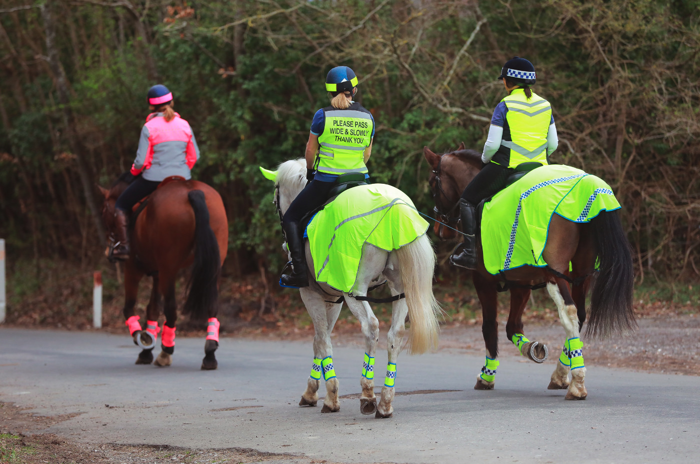 These are the big benefits of regular hacking for horses and riders ...