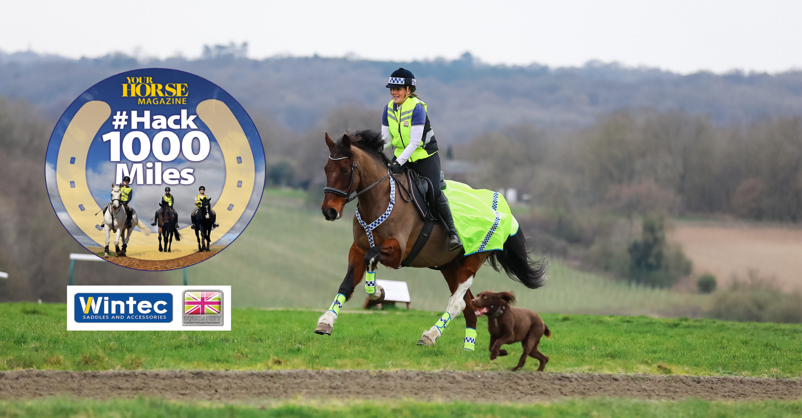 All about the #Hack1000Miles prizes - Your Horse
