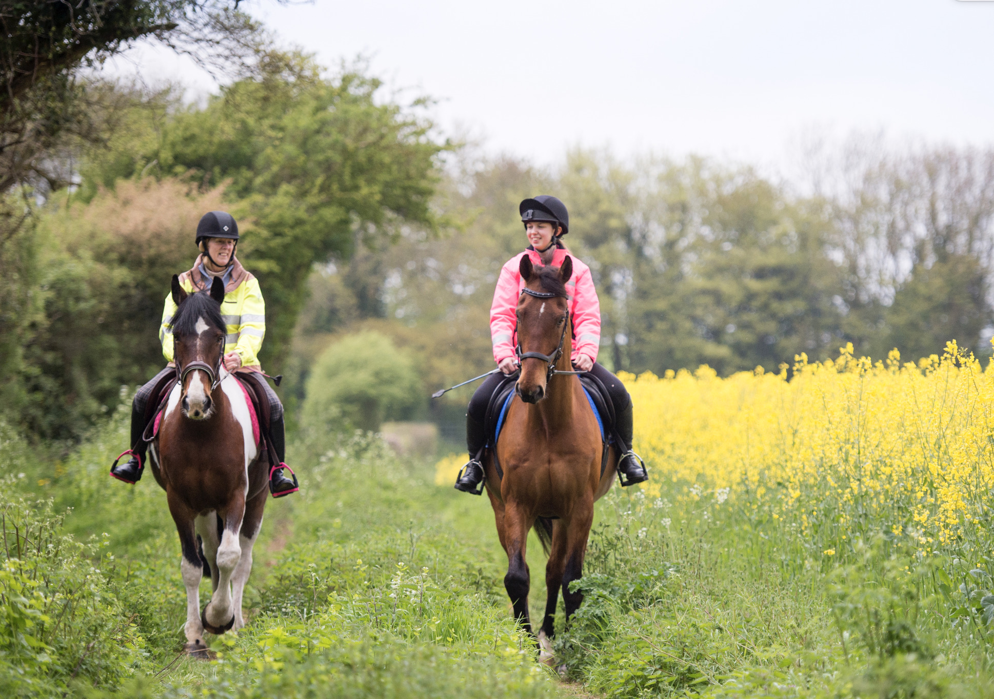 Six golden rules to follow if you meet livestock on a hack - Your Horse