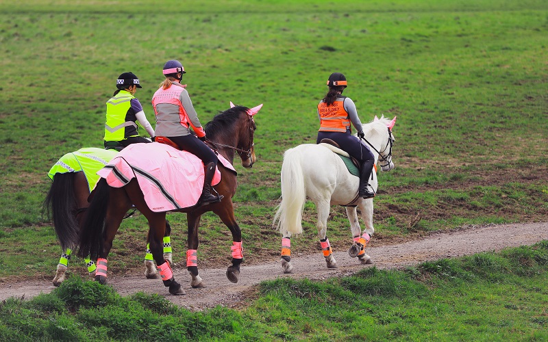 Hack 1000 Miles Archives - Your Horse