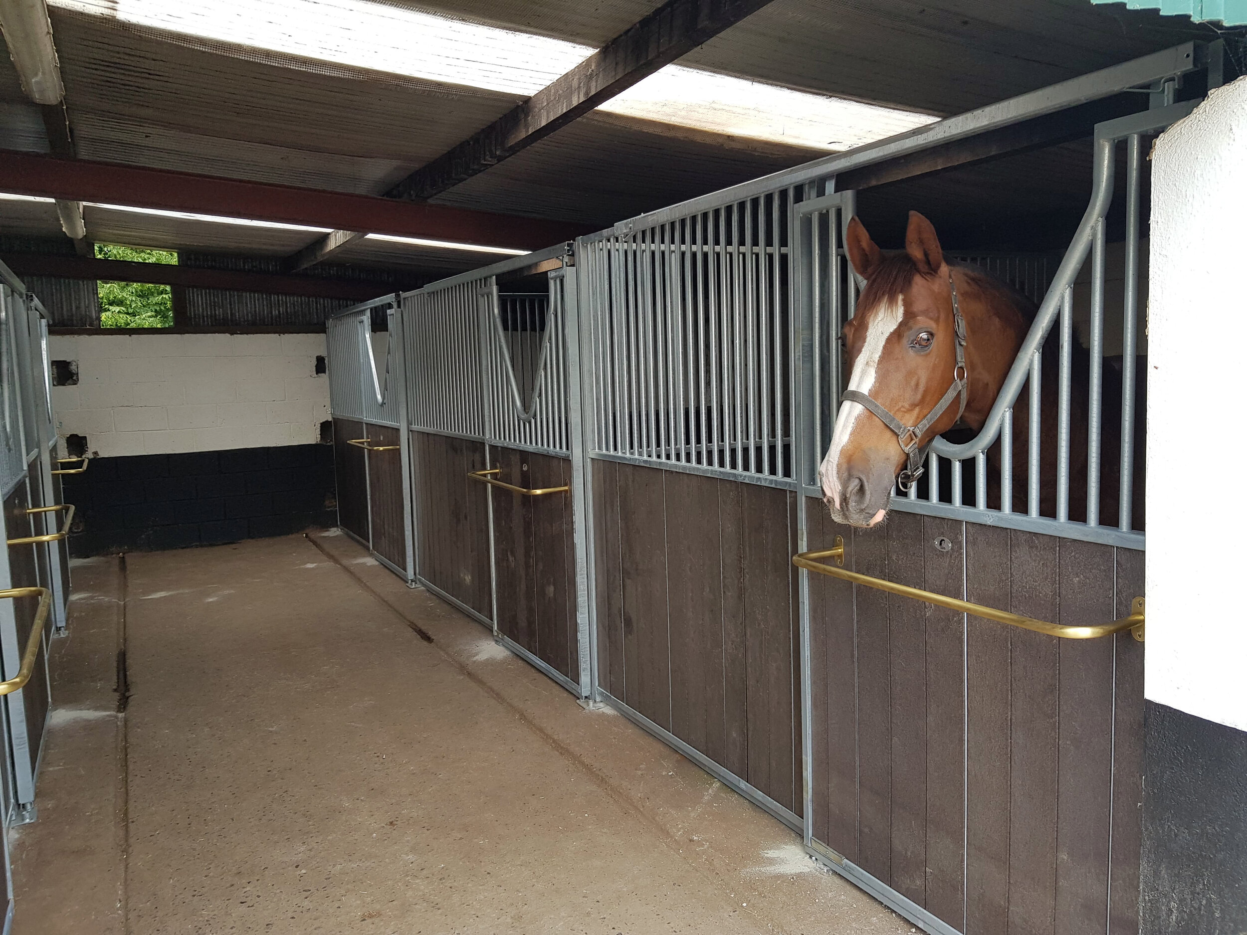 Stabling Solutions From Cheval Liberté - Your Horse