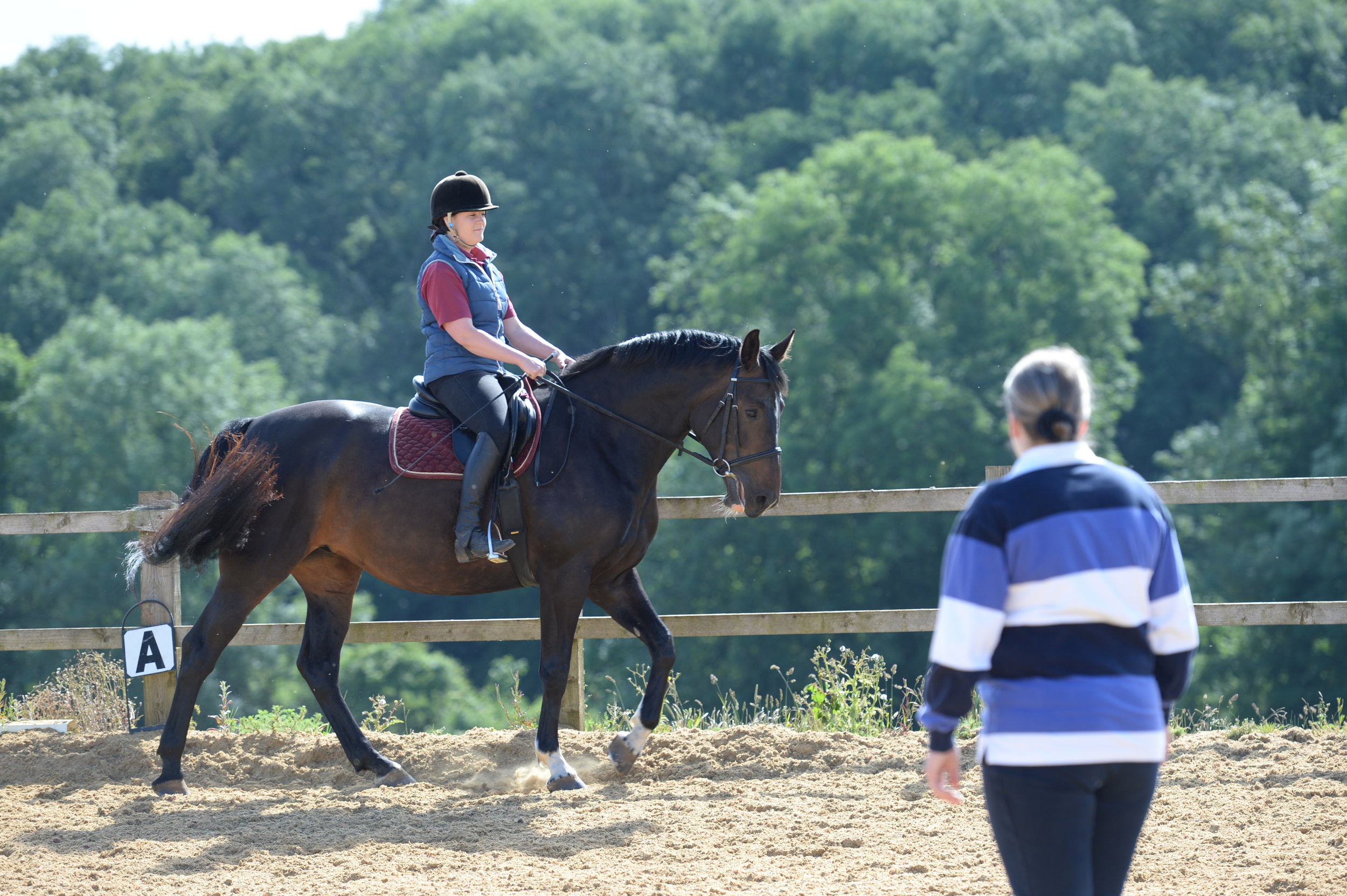How to find a good riding instructor who gets the best from you and ...