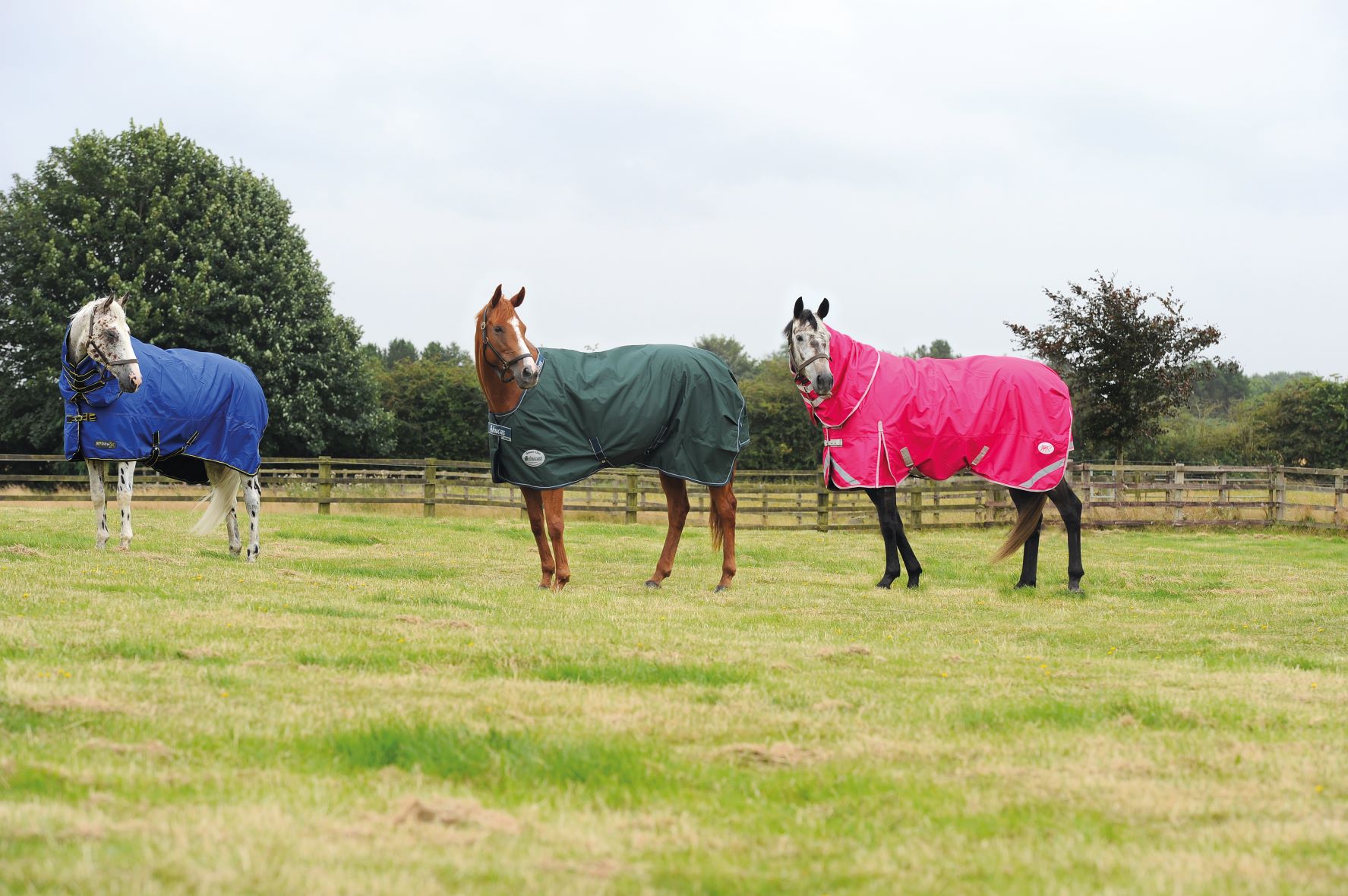 9 lightweight turnout rugs to get your horse ready for autumn - Your Horse