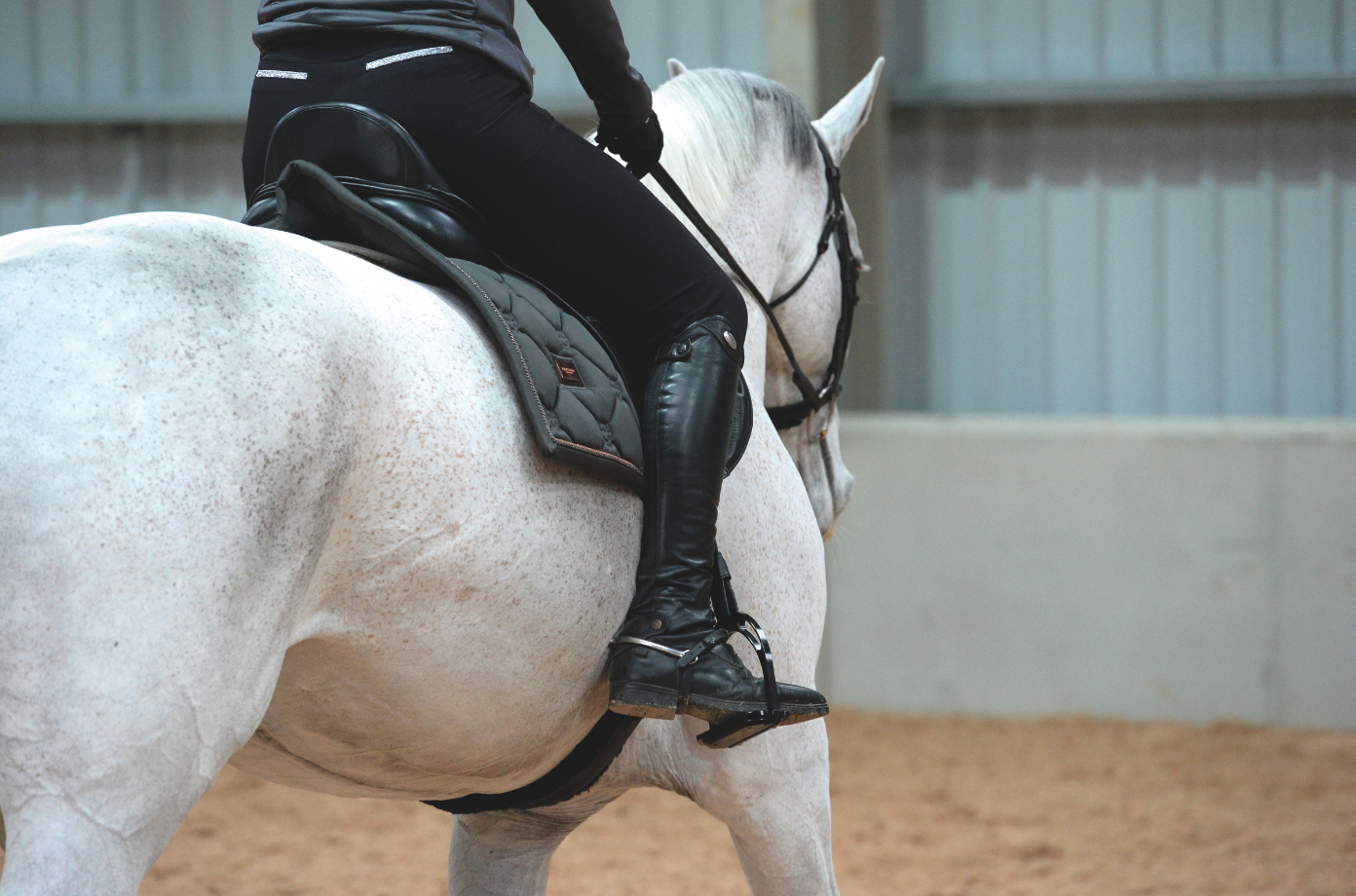 Long reining a horse: technique explained and exercises to try - Your Horse