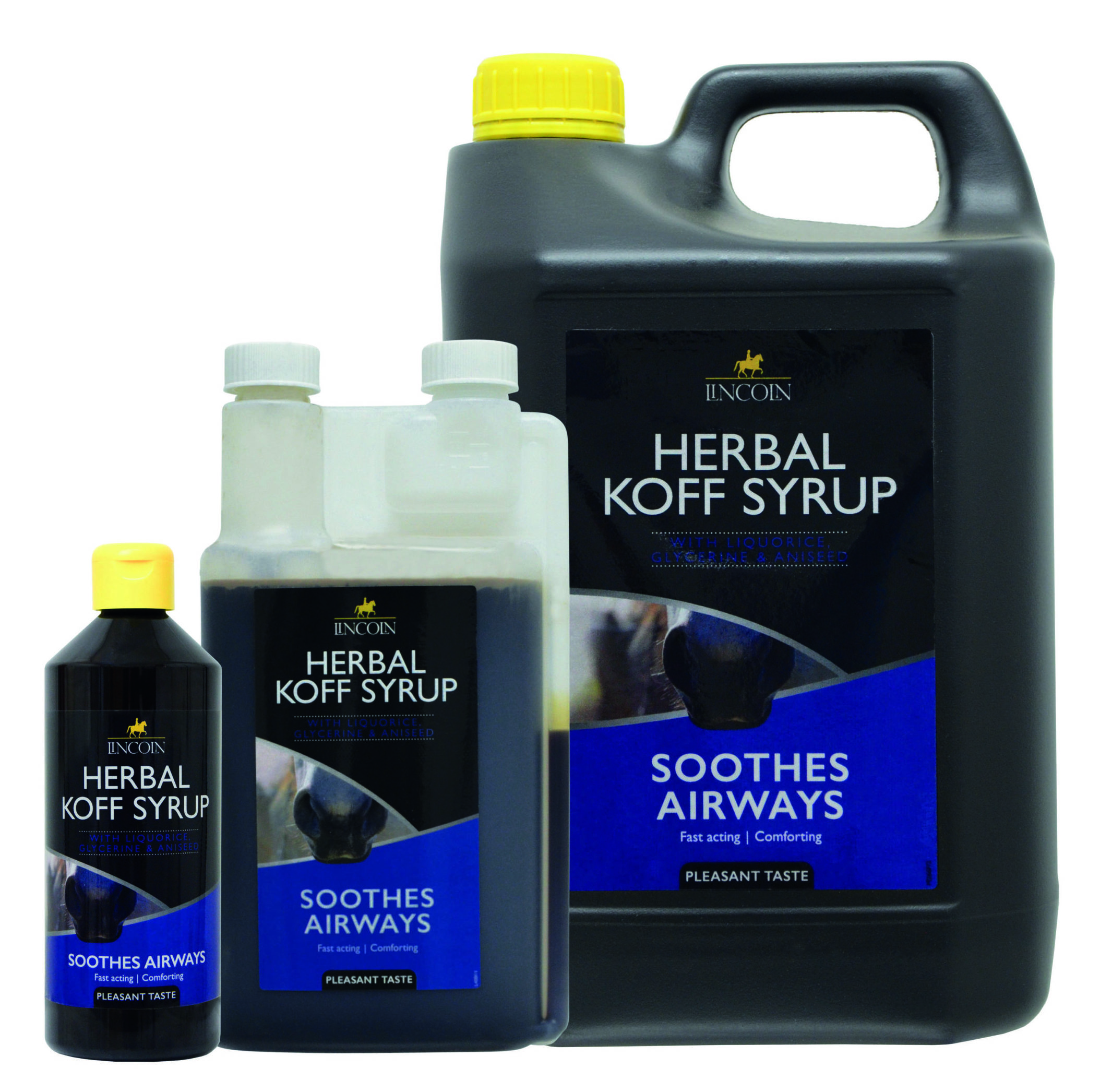 12 respiratory supplements to help support your horse's airways - Your ...
