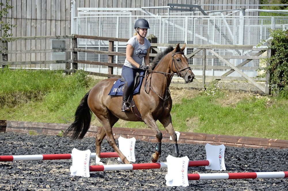 Richard Waygood's cavaletti exercises that every horse will benefit ...