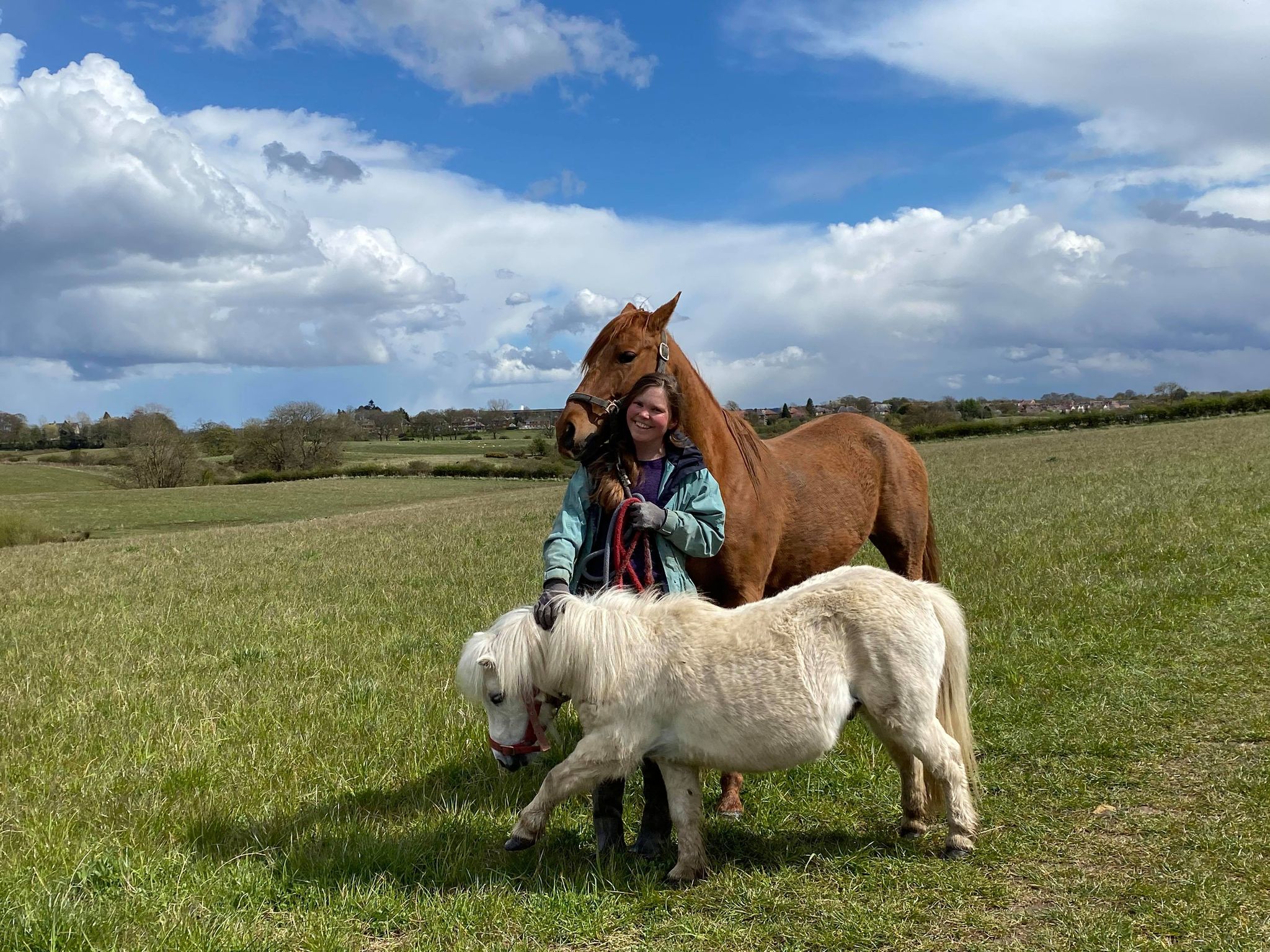 Riding and leading out hacking transforms laminitis-prone pony’s health ...