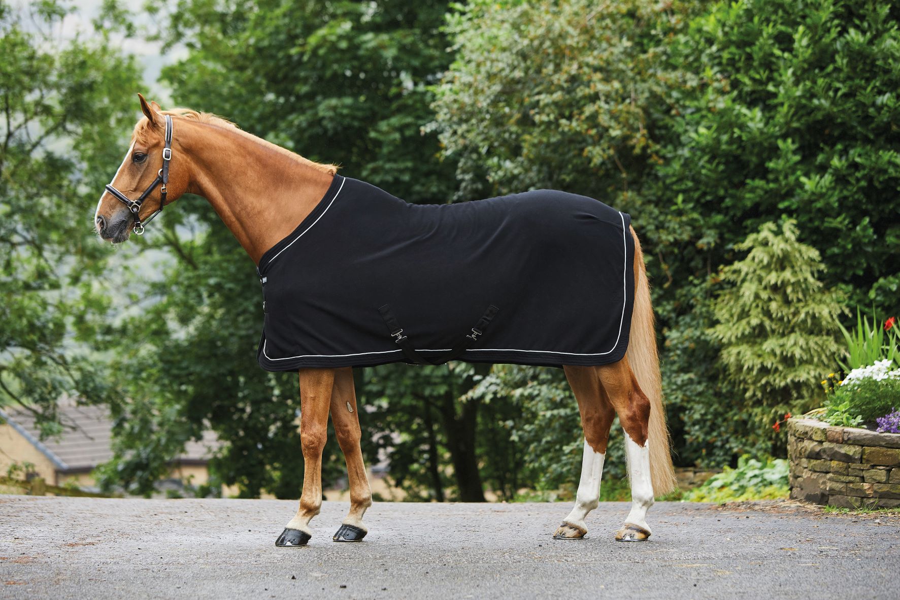 14 versatile cooler and travel rugs for horses - Your Horse