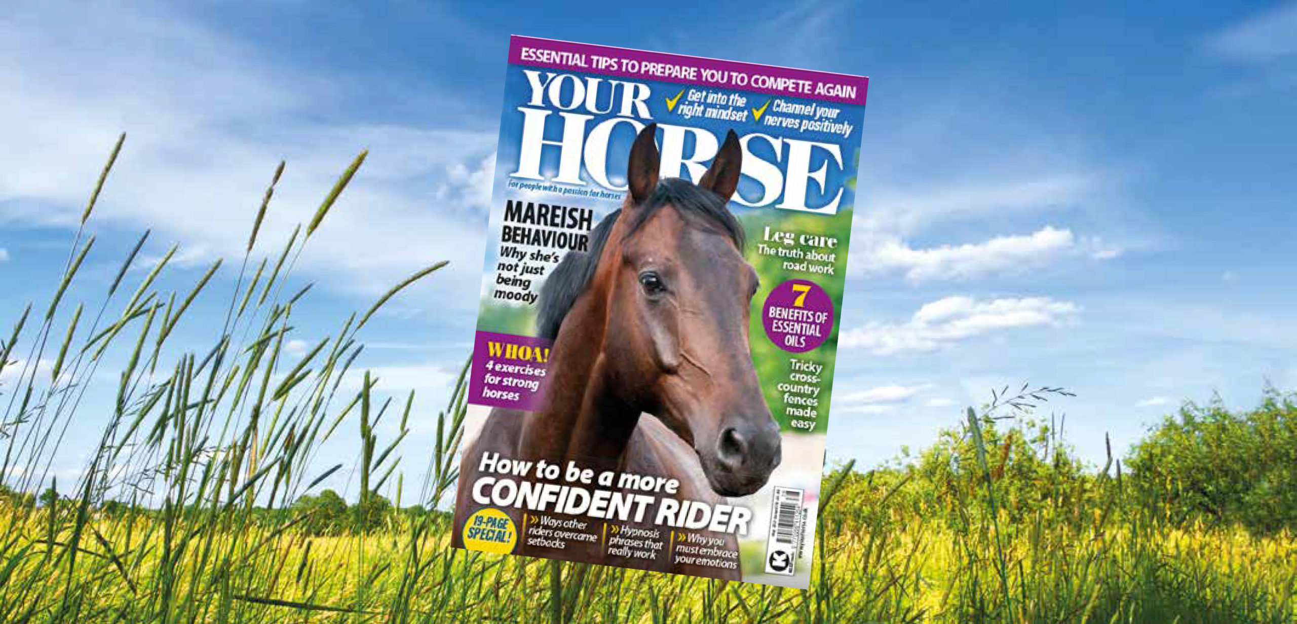Confidence special: inside the May issue of Your Horse - Your Horse