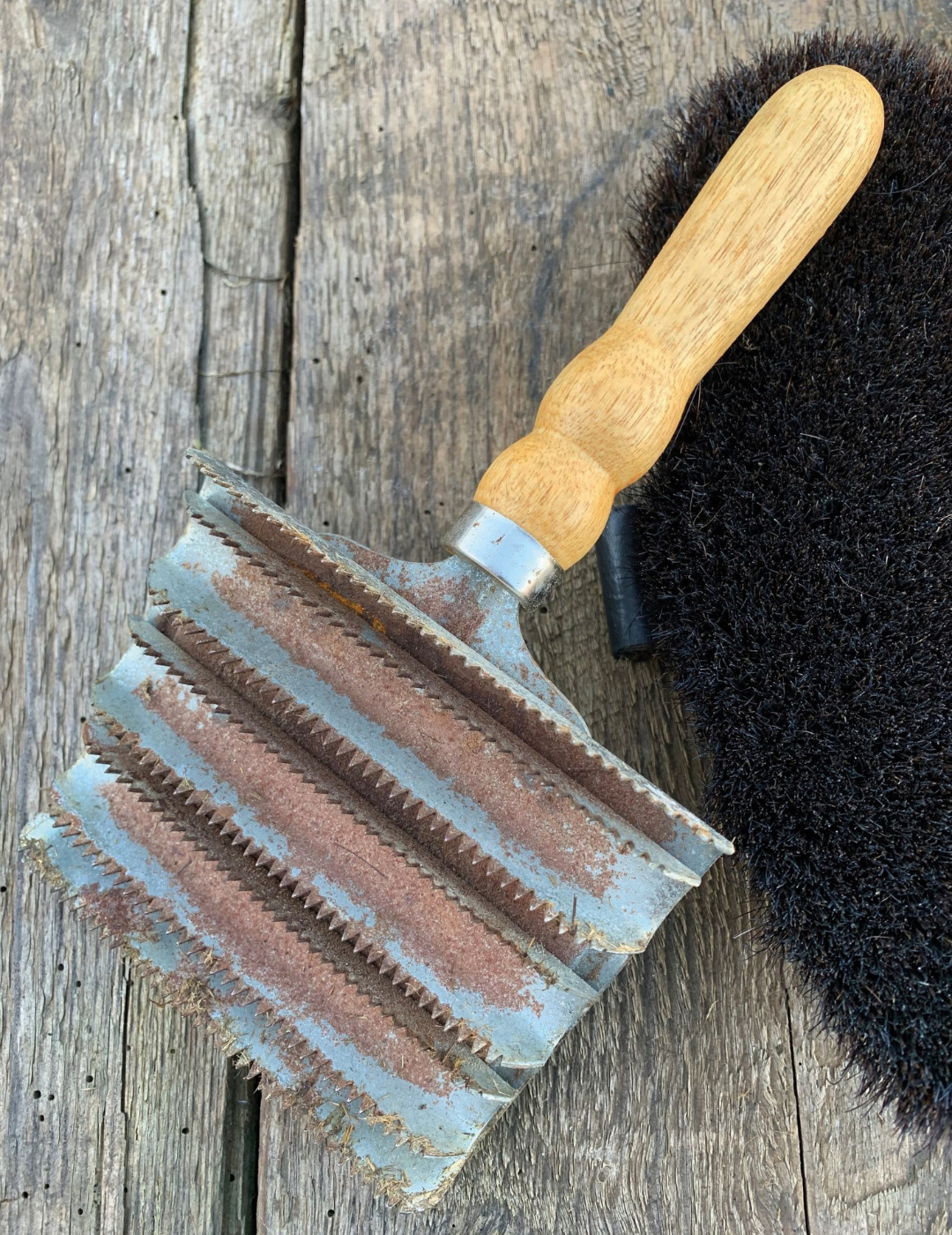 Why a versatile curry comb should be in every horse's grooming kit ...