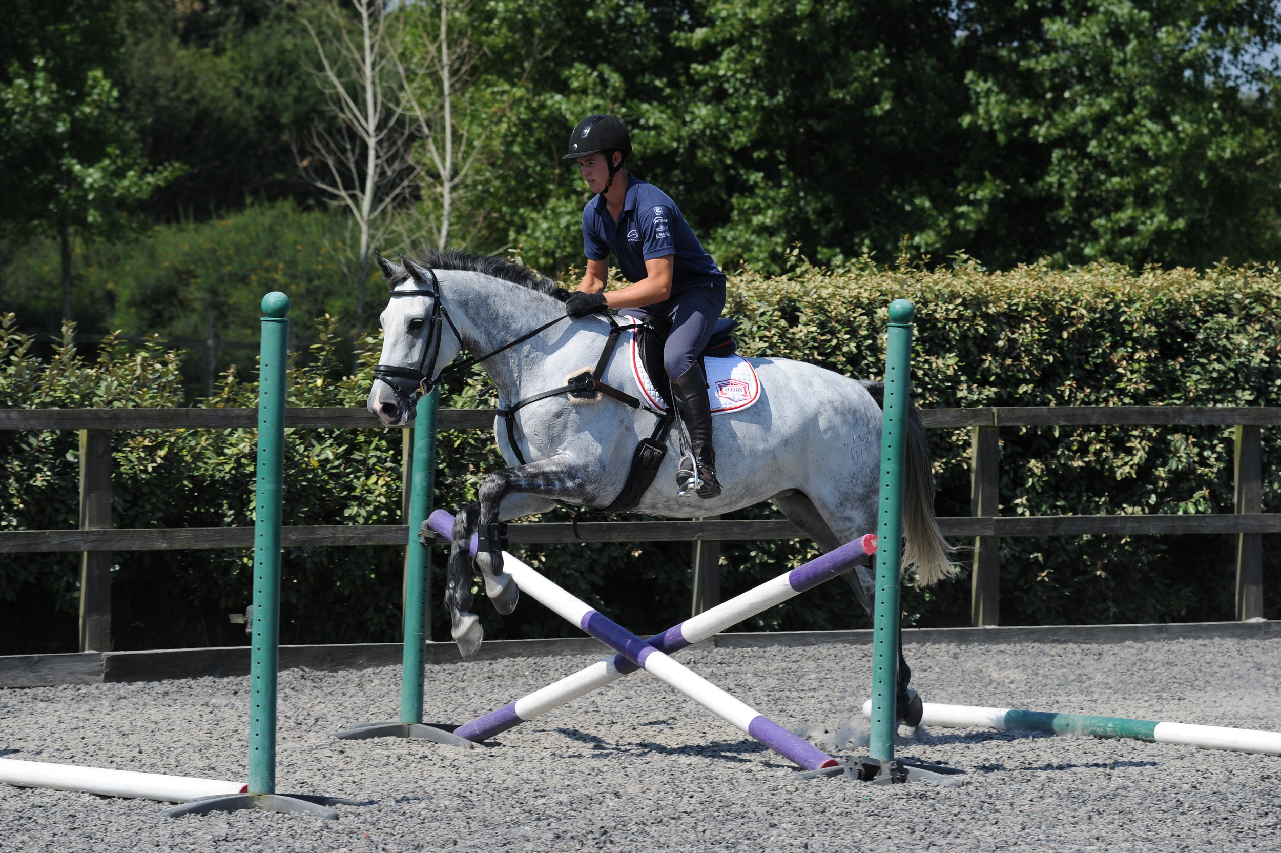 10 Tips for Gridwork Success - Your Horse