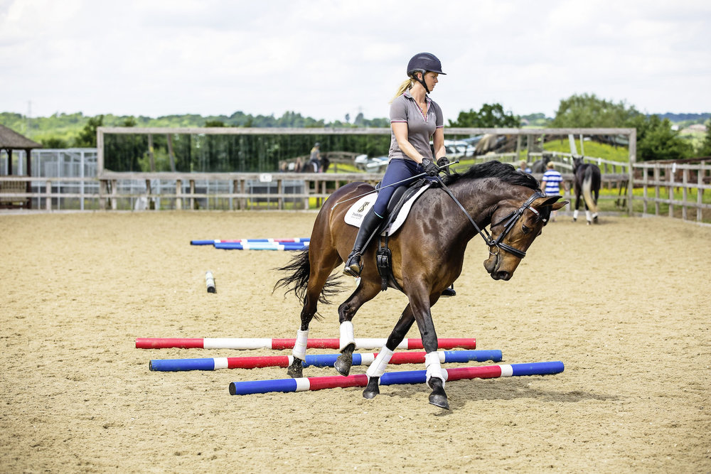 Simple Exercises to Build His Muscles - Your Horse