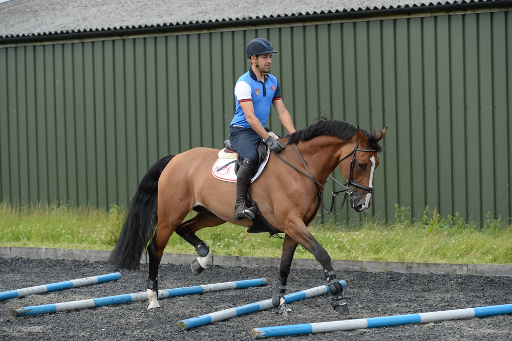 Improve Your Horse's Rhythm and Suppleness With Pole Work - Your Horse