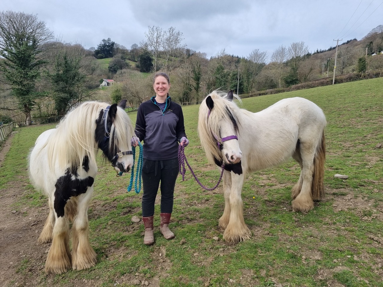 Eleven emaciated, sick ponies doing well one year after being rescued ...