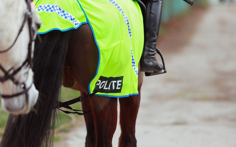 5 of the Most Common Causes of Equestrian Accidents - Your Horse