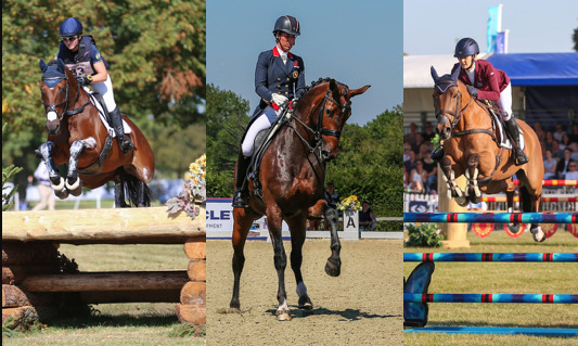 Exciting Concept Launched for Recognising Talented Young Horses - Your ...