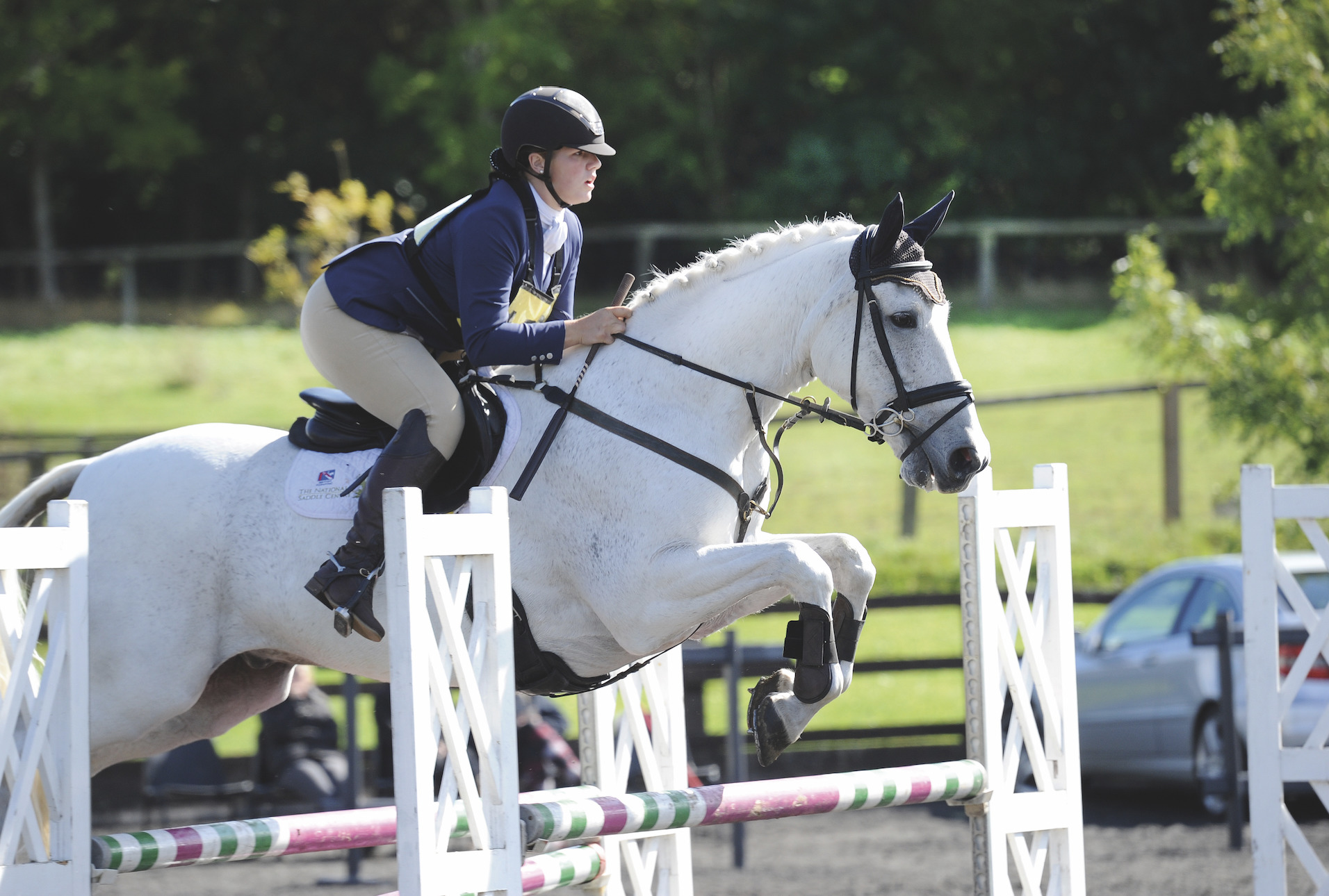 Does your horse need to wear an ear bonnet? Here are six of the best on ...